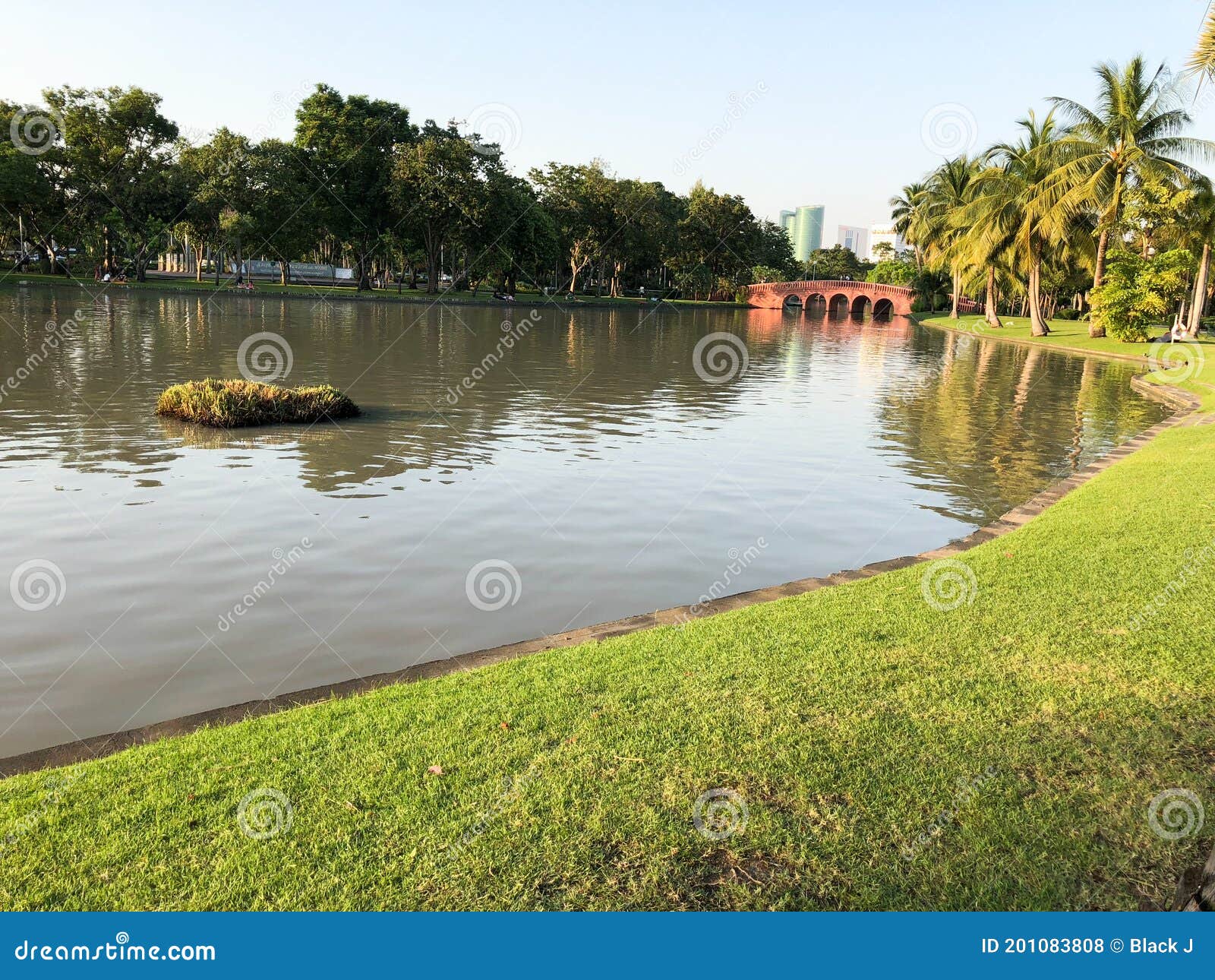 Beautiful Park Scene in Public Park with Green Grass Field.Beautiful ...