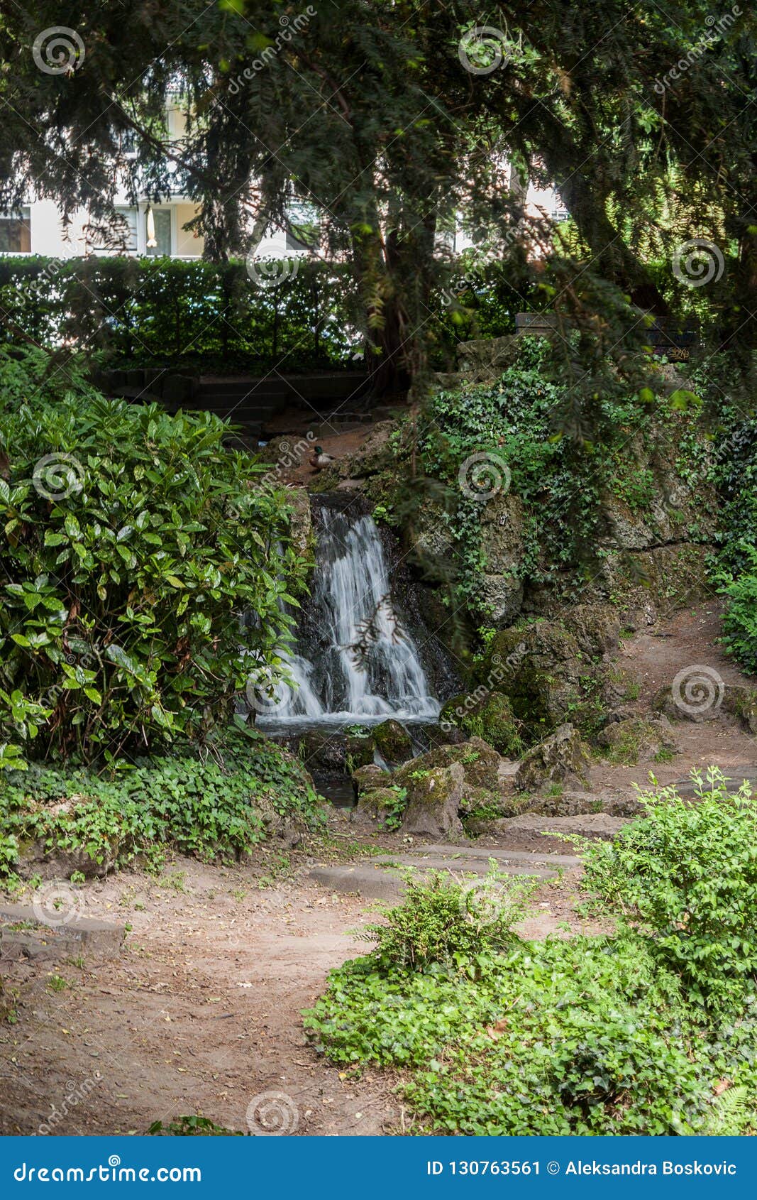 Beautiful Park Scene in Public Park Stock Image - Image of natural ...