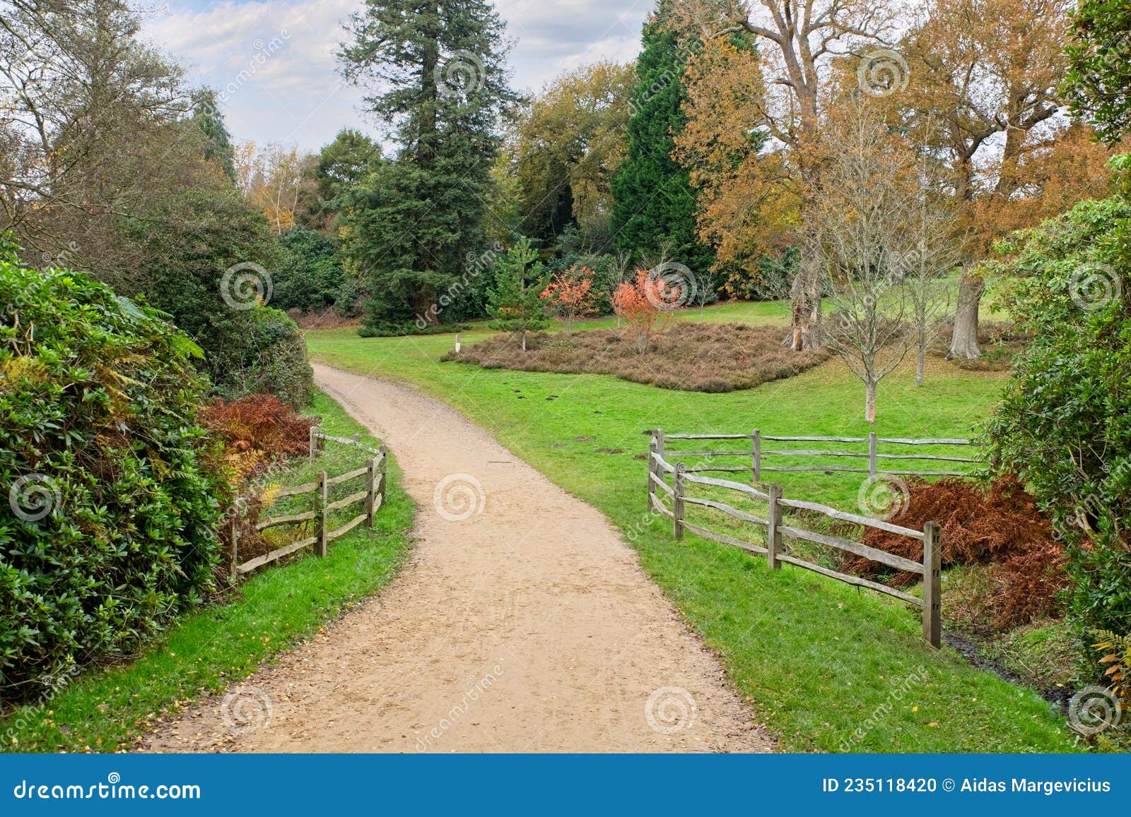 Beautiful park stock photo. Image of forest, scenic - 235118420