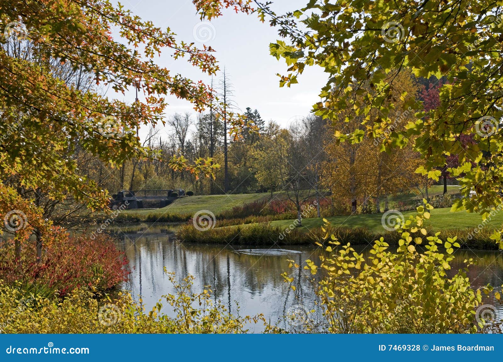 20,238 Beautiful Park Setting Stock Photos - Free & Royalty-Free Stock ...