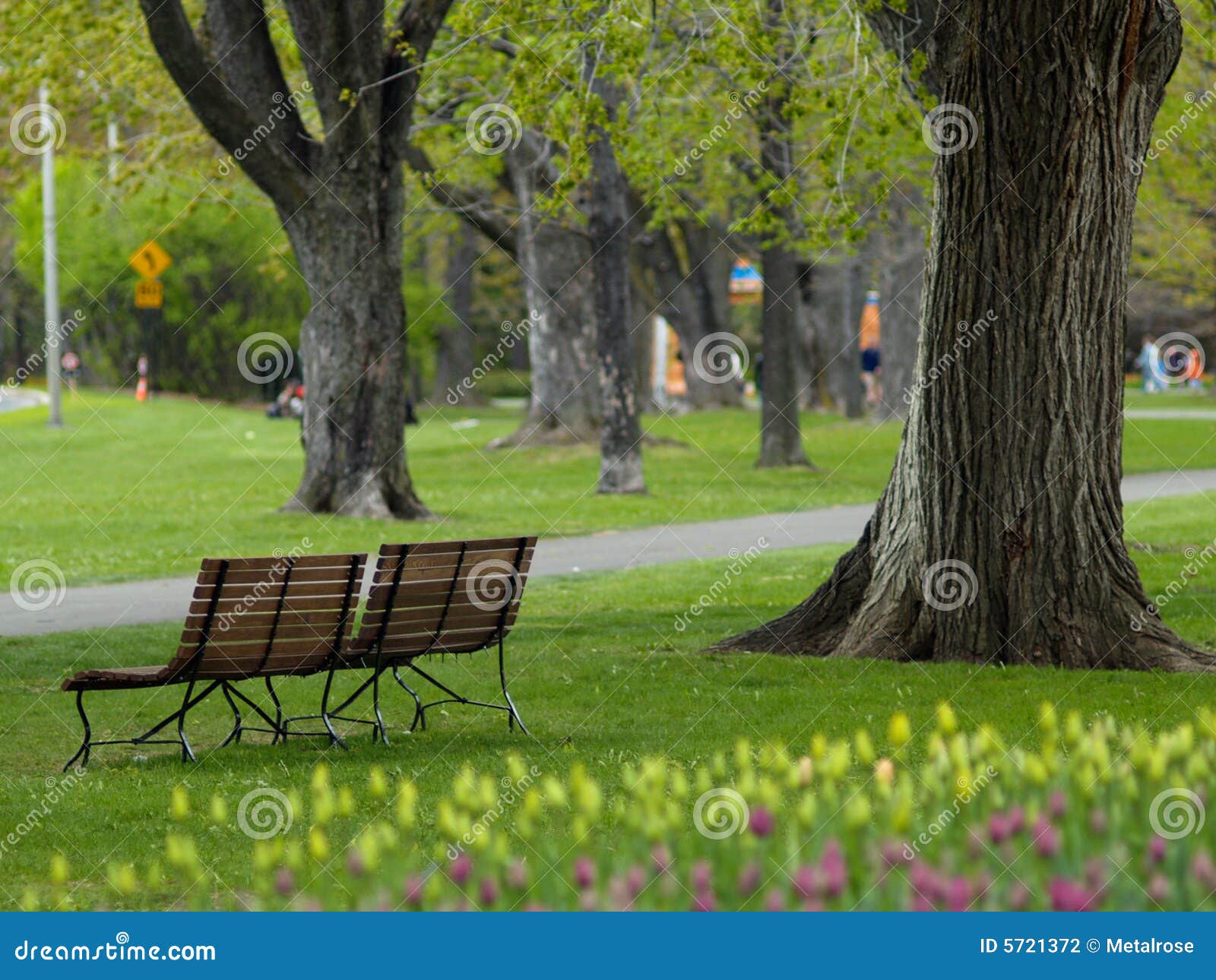 Beautiful park in spring stock photo. Image of bench, grass - 5721372