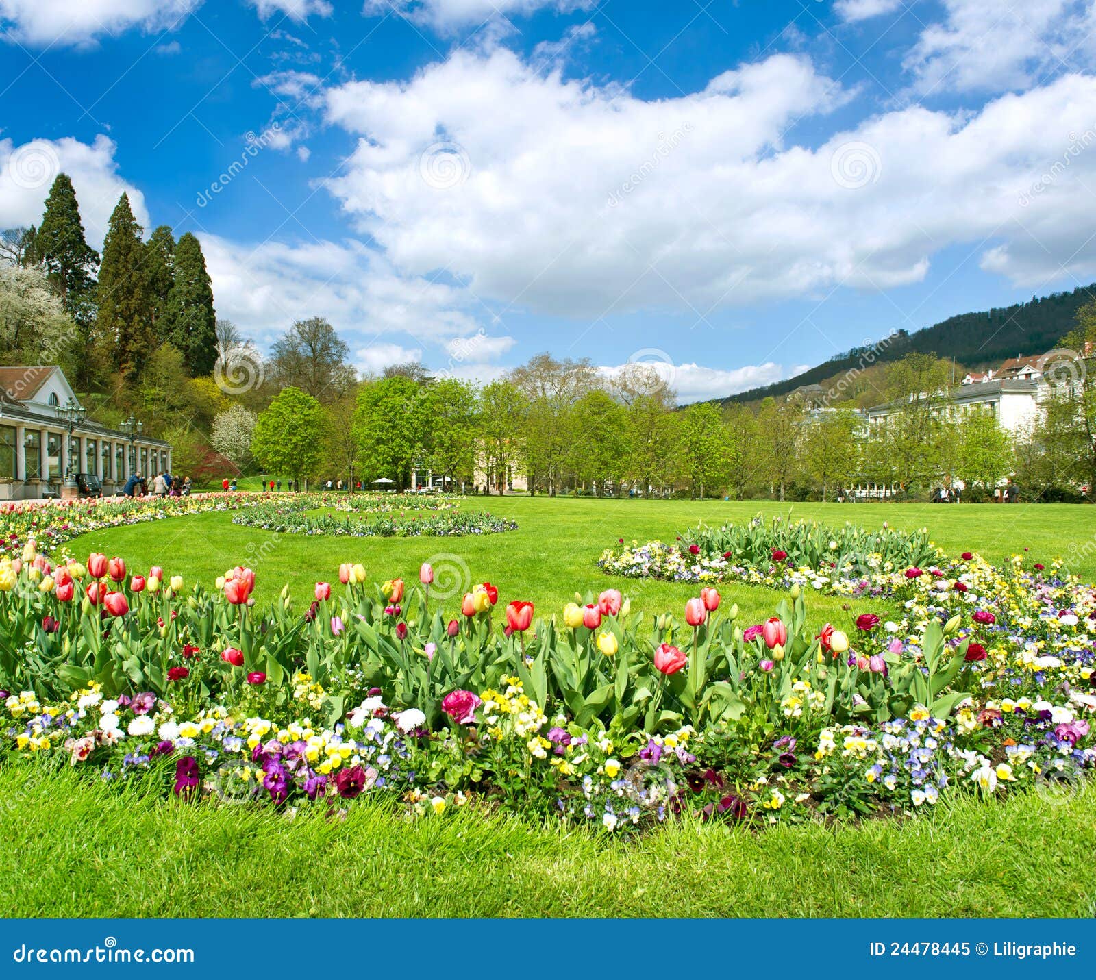 Beautiful Park in Spring with Tulip Flowers Stock Image - Image of ...