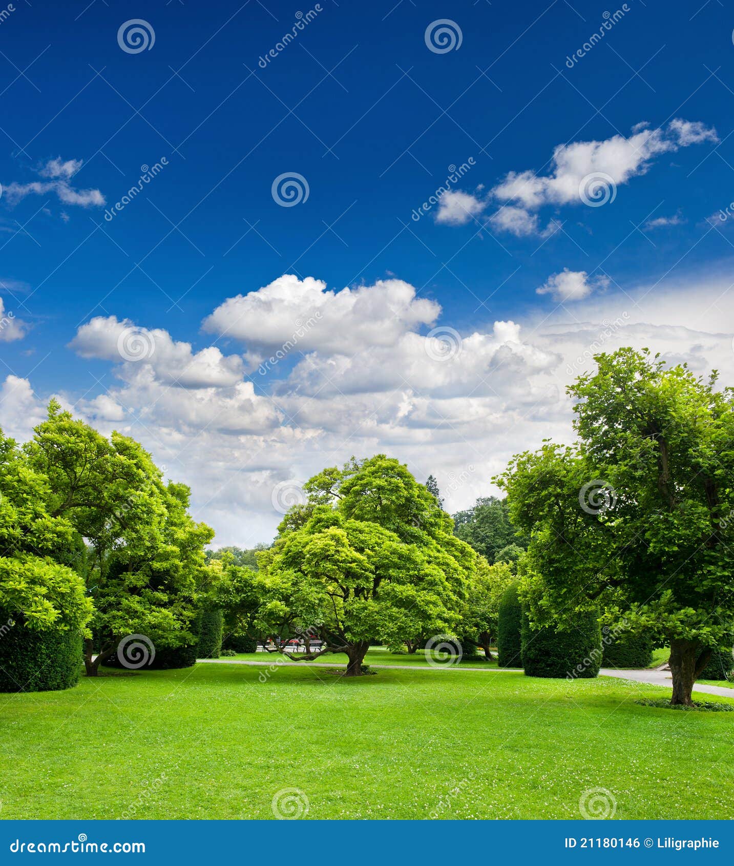 Beautiful Park Trees Over Blue Sky Stock Photo - Image of europe ...