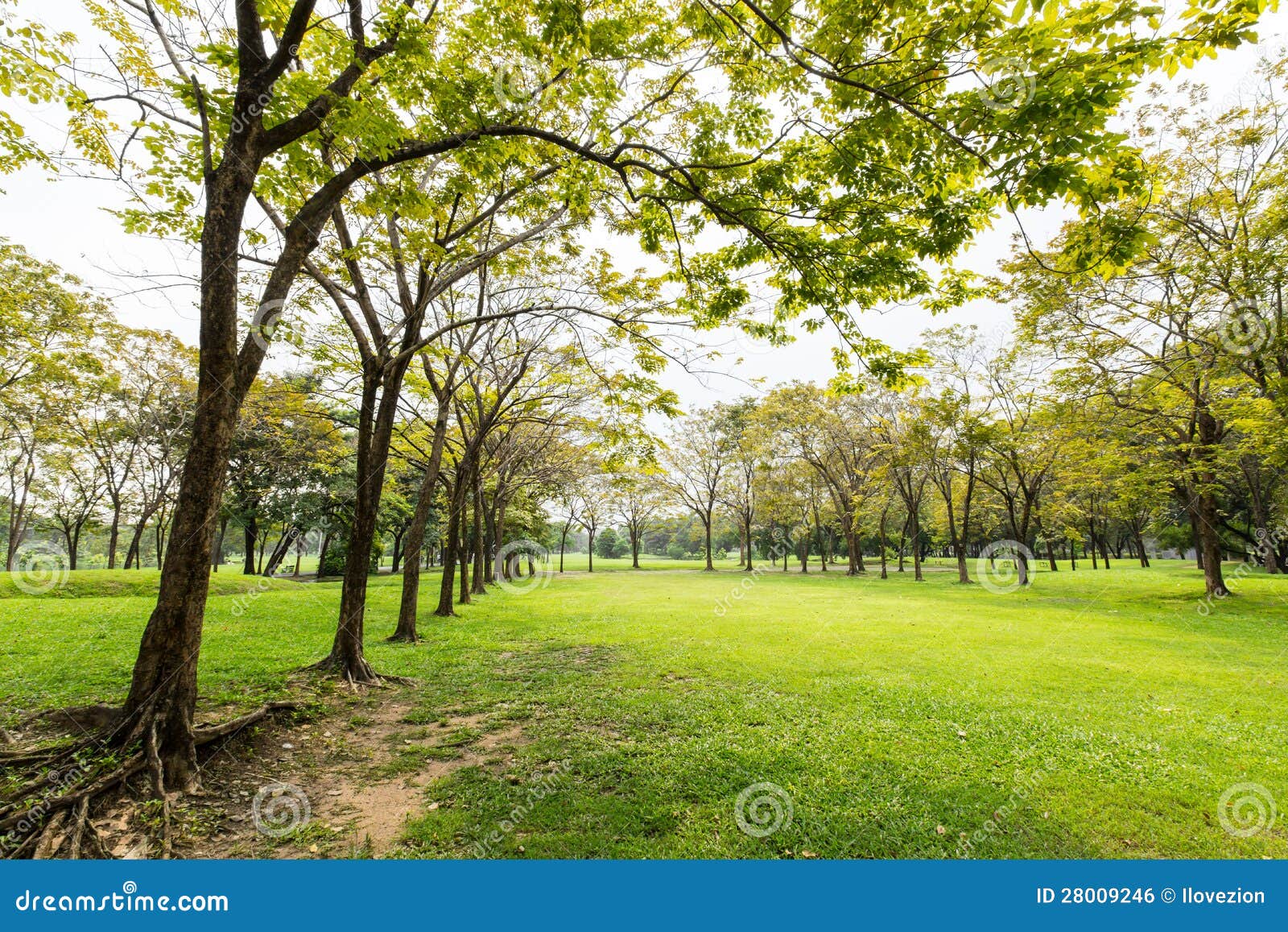 Beautiful park view stock photo. Image of flora, country - 28009246