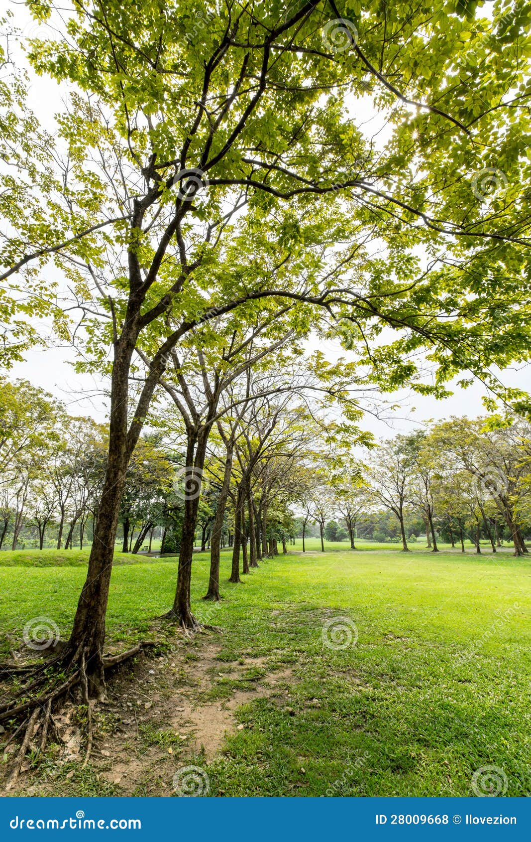 Beautiful park view stock photo. Image of flora, rural - 28009668