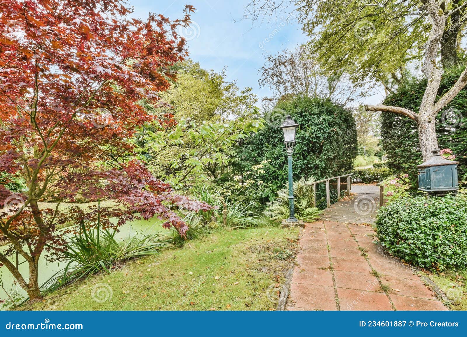 Beautiful park view stock image. Image of plant, natural - 234601887