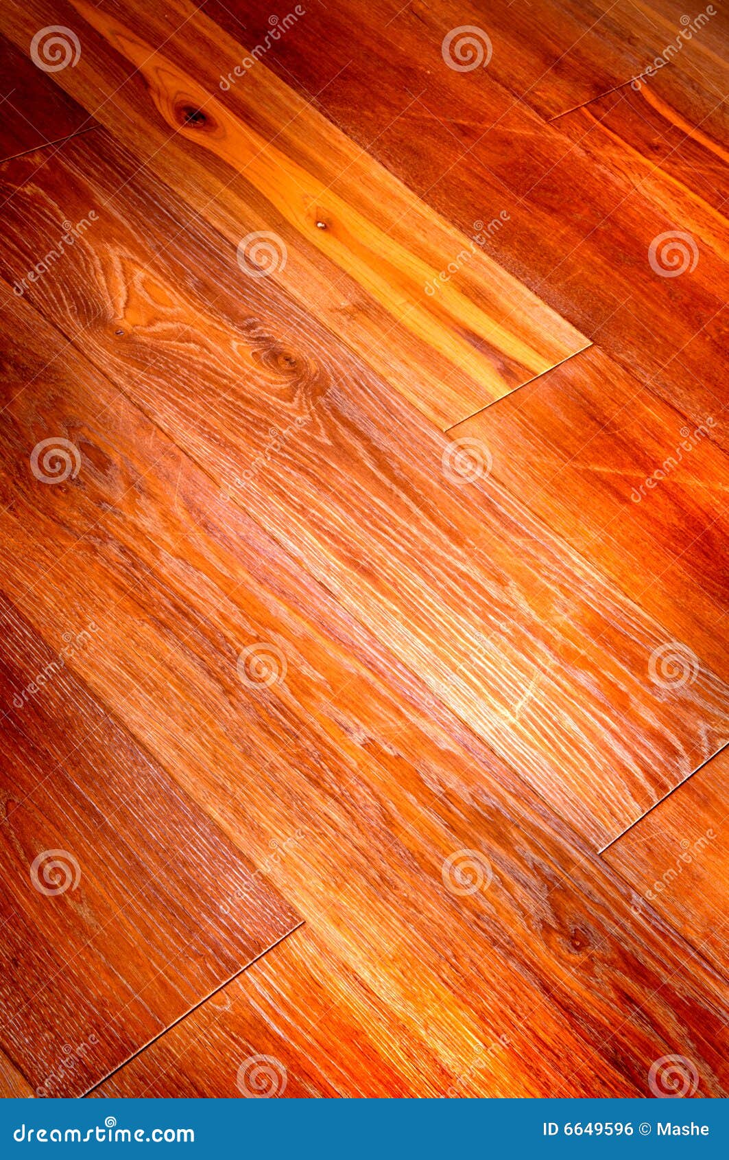 Beautiful parquet floor stock photo. Image of line, indoors - 6649596