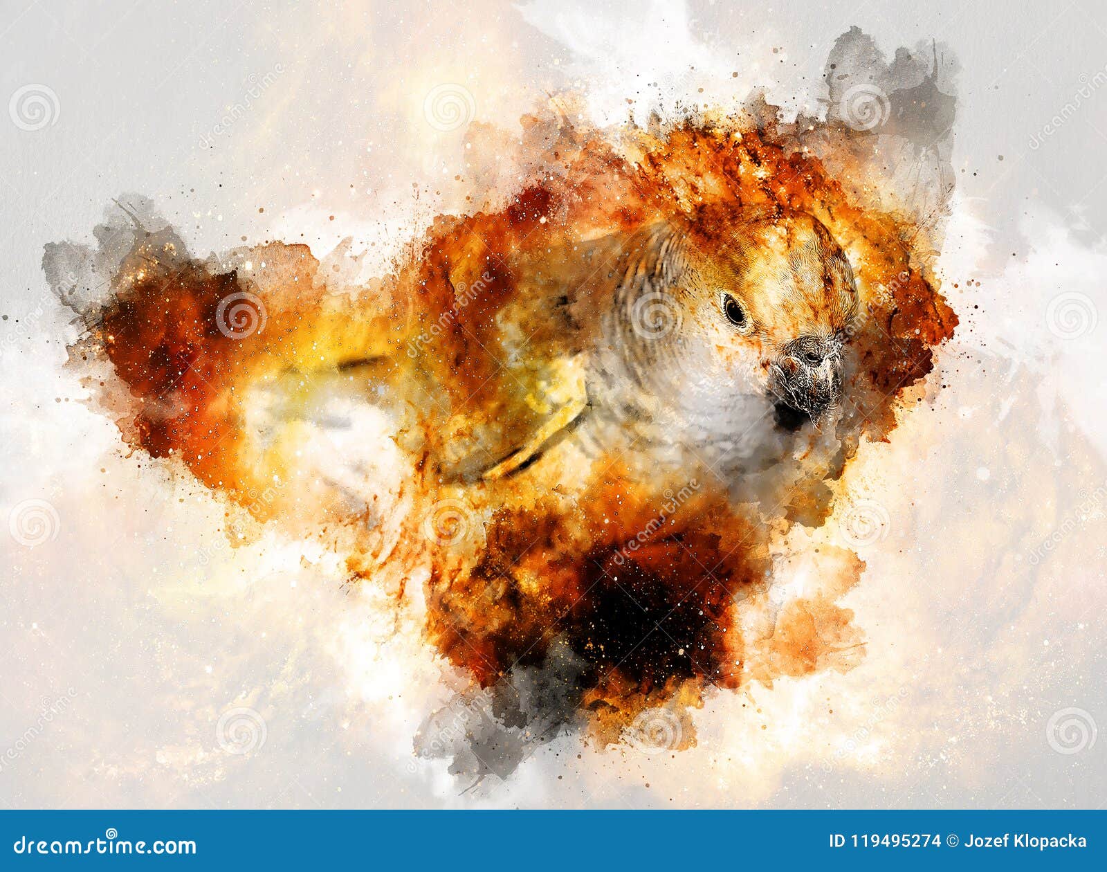 Beautiful Parrot in Cosmic Space. Computer Collage. Stock Illustration ...