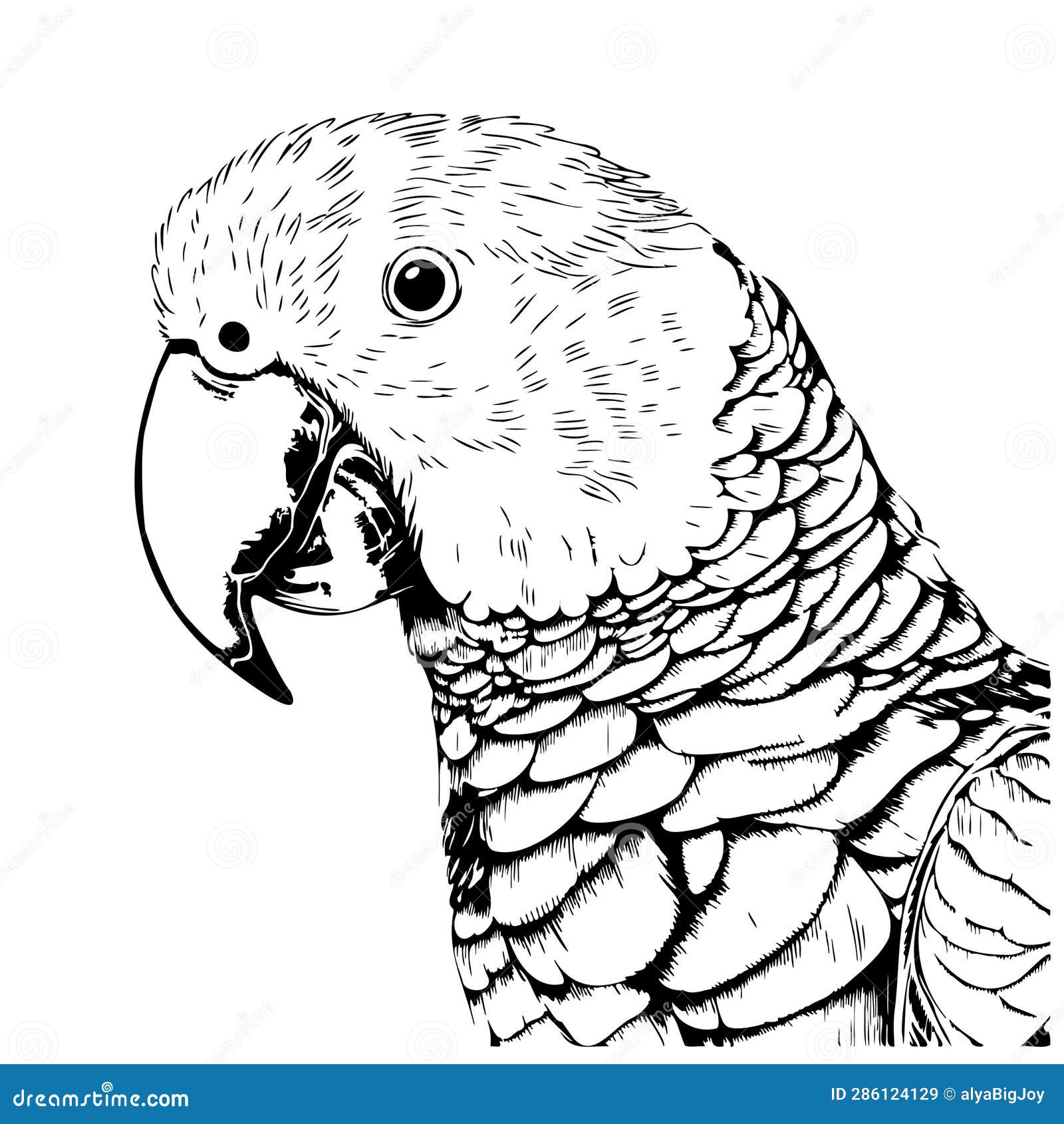 Beautiful Parrot Head Hand Drawn Sketch Bird Vector Illustration Stock ...