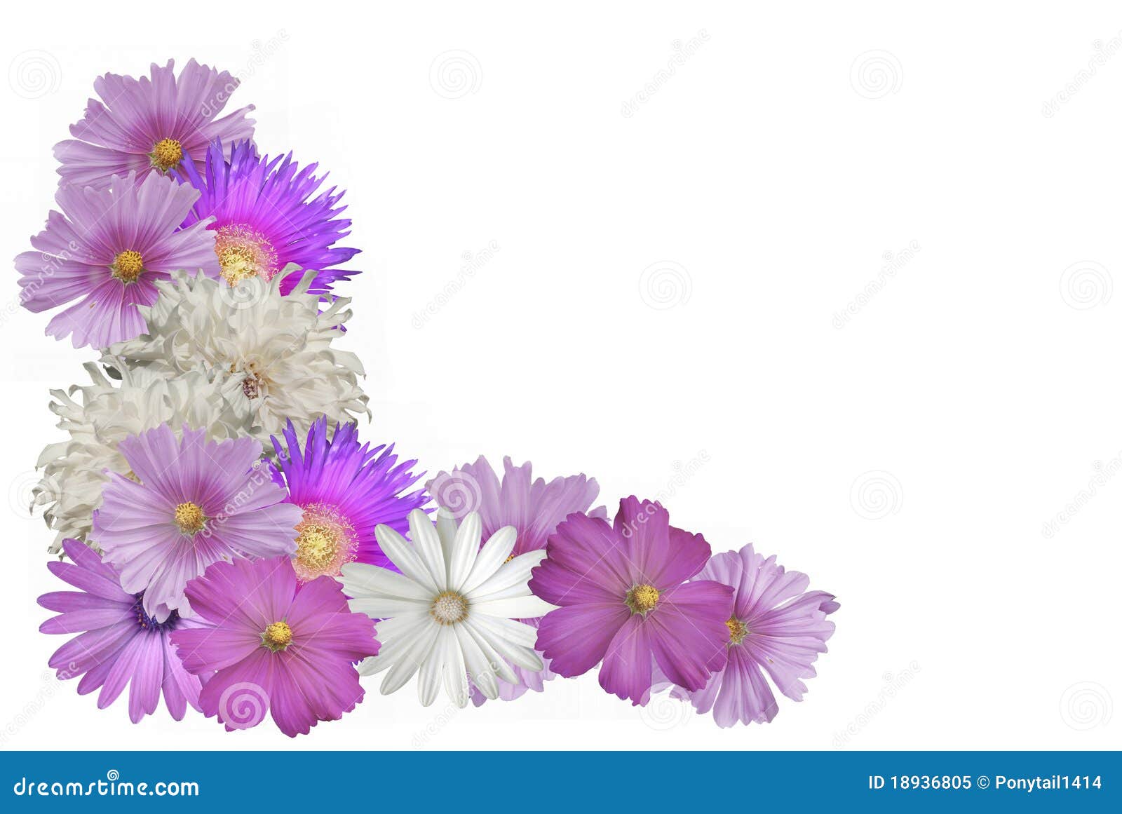 Beautiful Pastel Flower Border Stock Image - Image of flora, frame ...