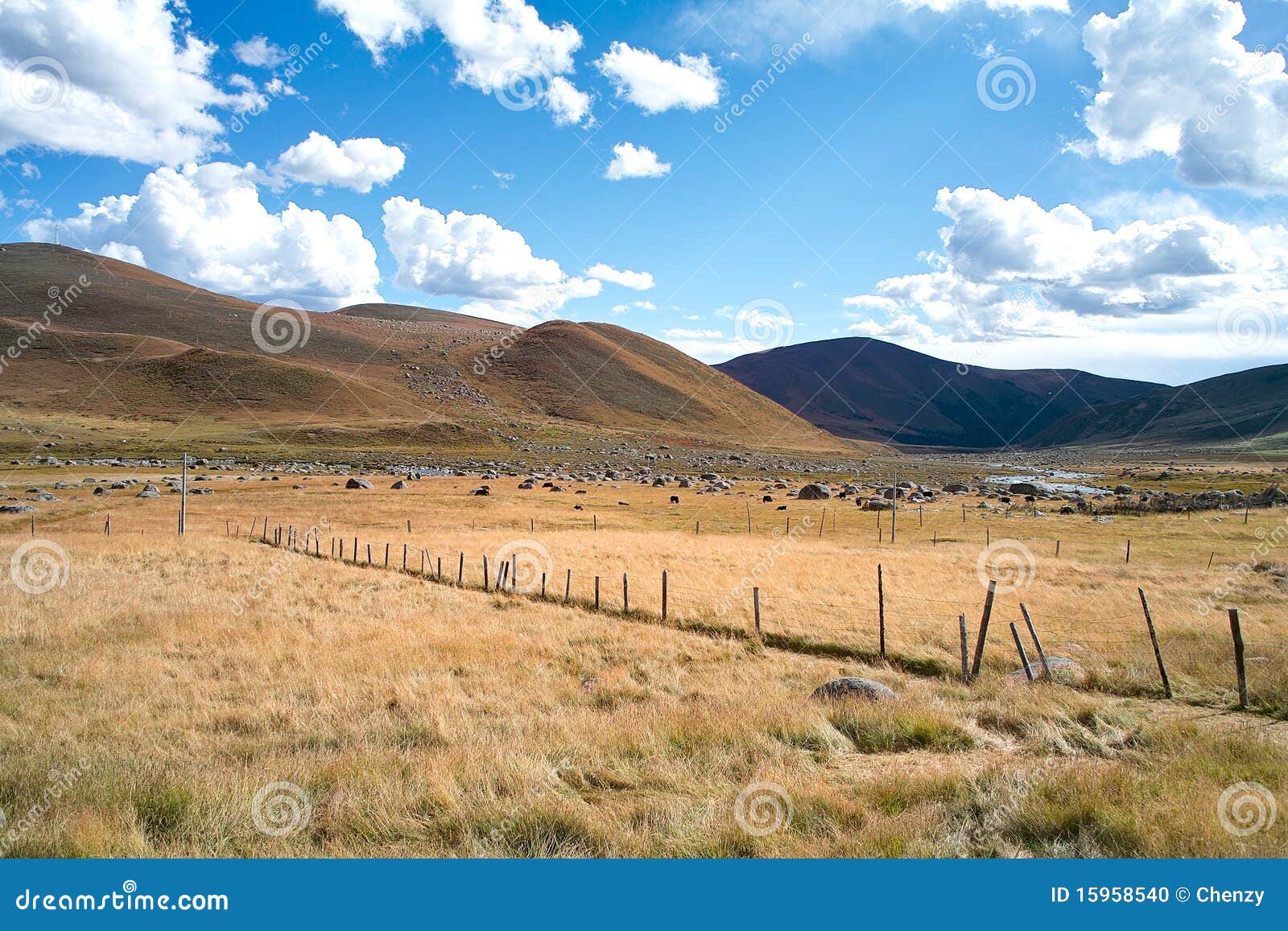 Beautiful pasture stock photo. Image of tableland, graze - 15958540