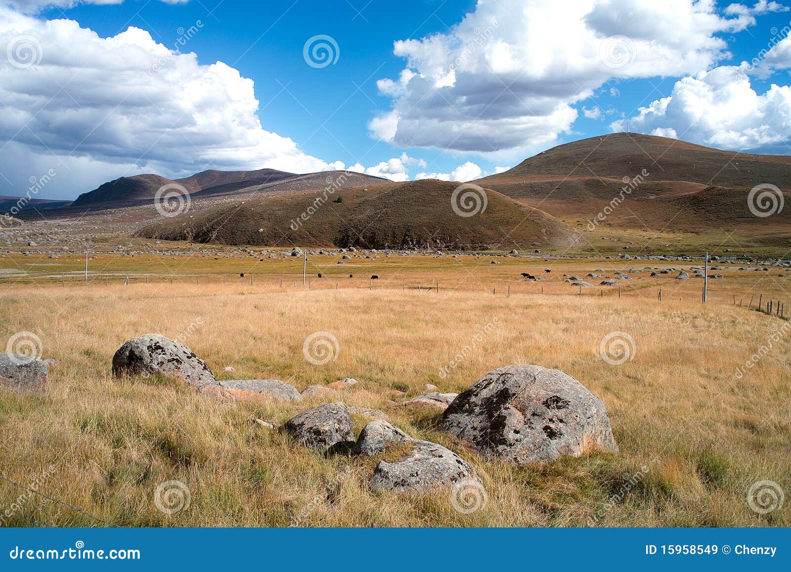 Beautiful pasture stock image. Image of asia, ranch, cloud - 15958549