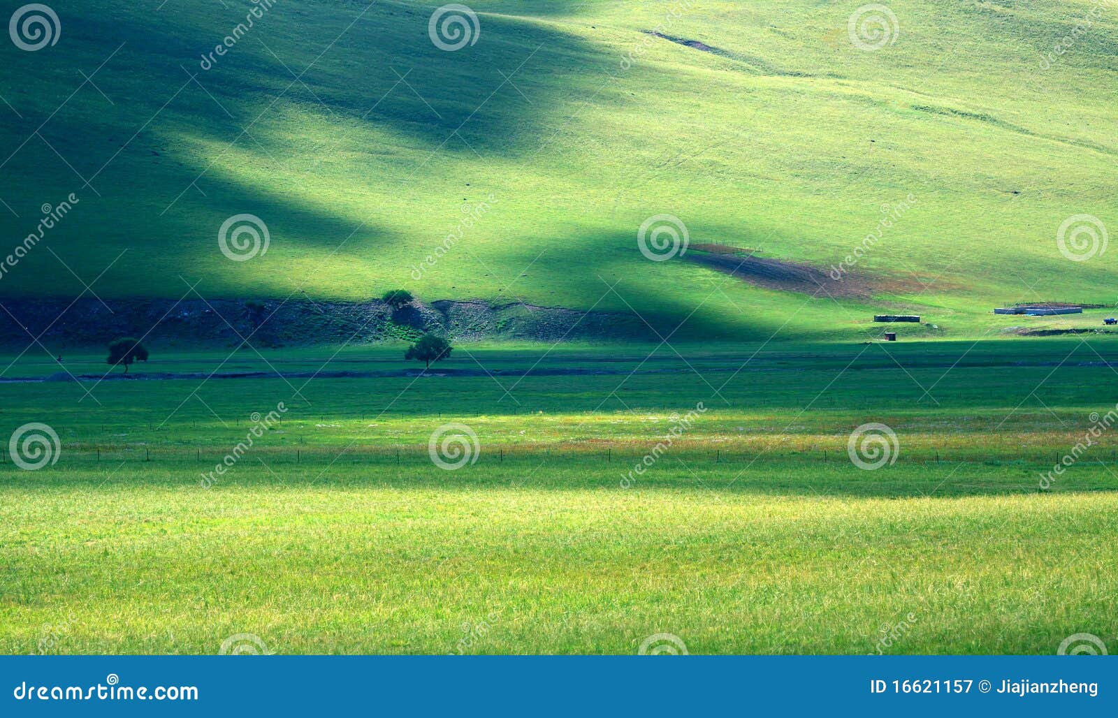 Beautiful pasture stock image. Image of beauty, light - 16621157