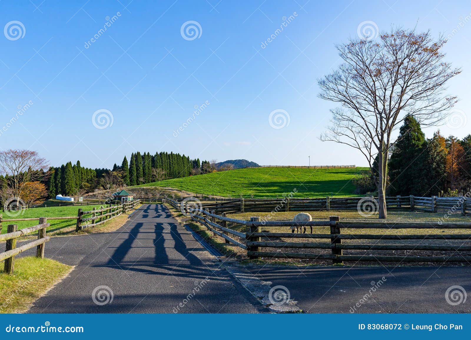 Beautiful pastures stock photo. Image of clear, fall - 83068072