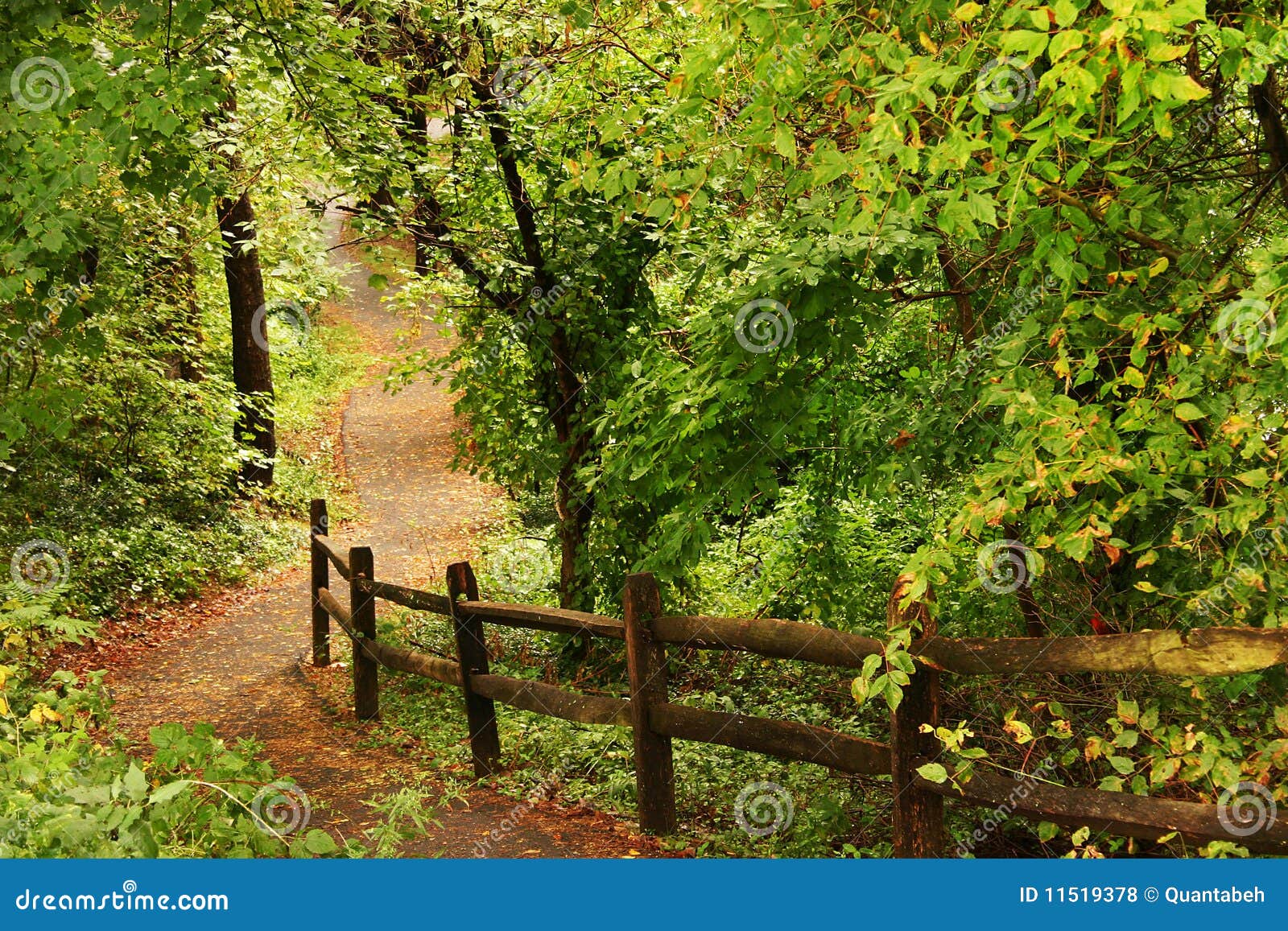 Beautiful path stock photo. Image of green, path, sidewalk - 11519378