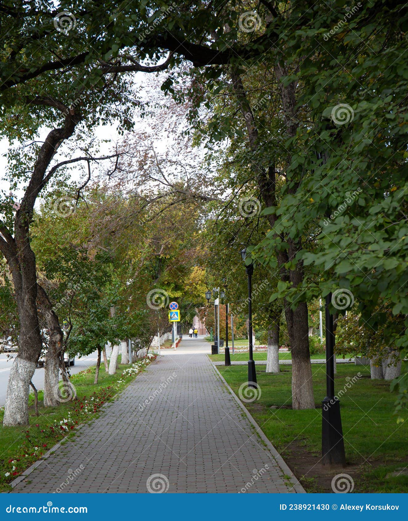 A Beautiful Path on the Central Square of the City of Tyumen in Autumn ...