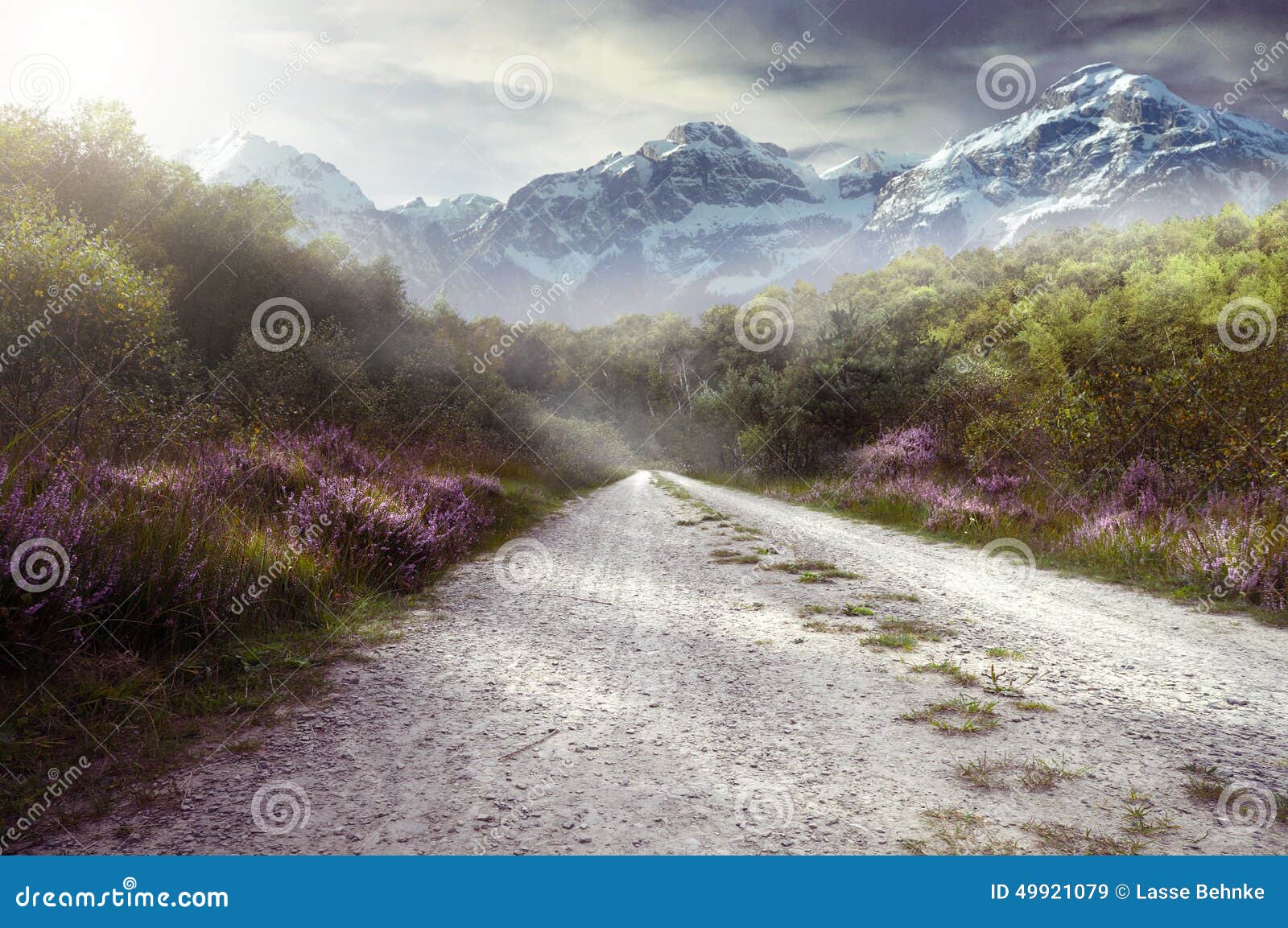 Beautiful Path Through Tropical Rain Forest Leading To Honolua Bay ...