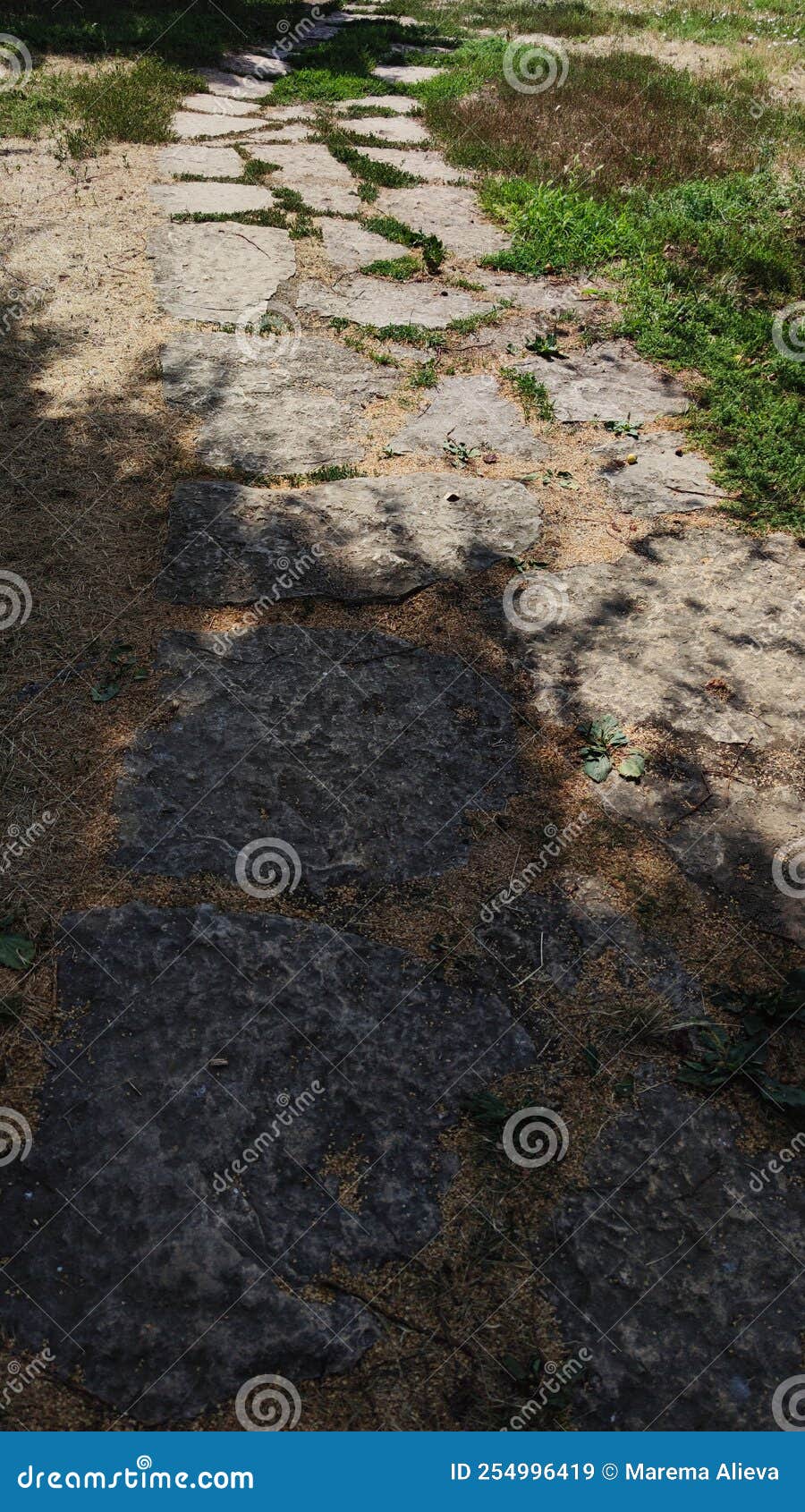 Beautiful Path in the Garden of Masonry Stock Image - Image of green ...