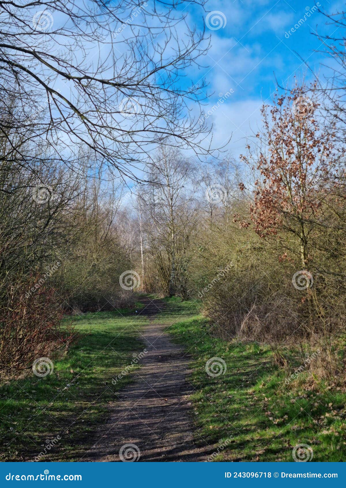 Beautiful Path Goodbye Autumn Welcome Spring Stock Photo - Image of ...