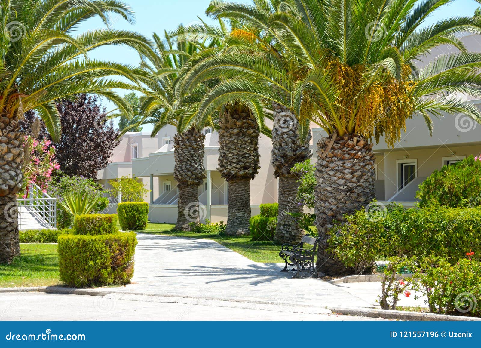 Beautiful Path with Palm Trees and a Type of Hotel Stock Photo - Image ...
