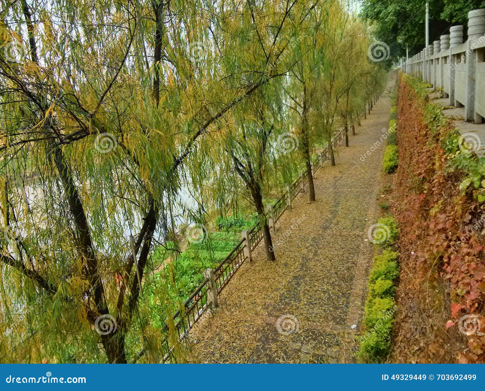 A beautiful path stock image. Image of road, path, beautiful - 49329449