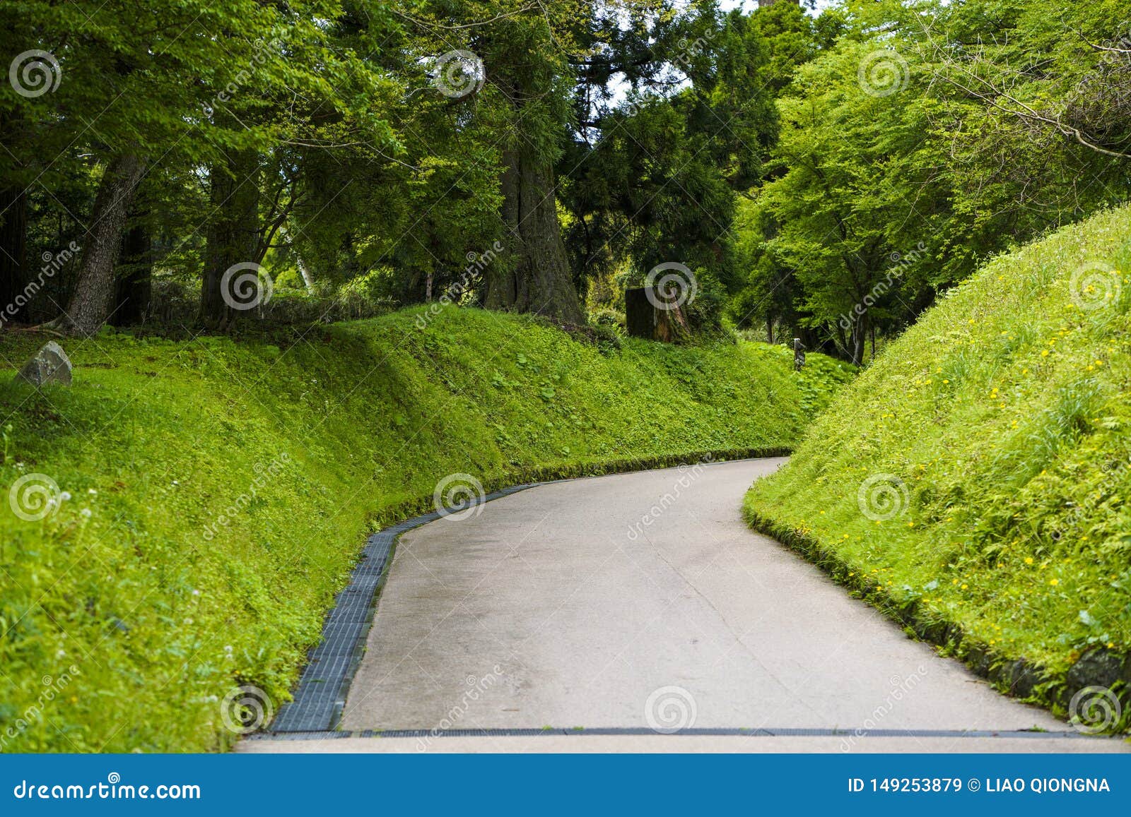 The Beautiful Path between the Trees, Path Leads To the Onshi Hakone ...