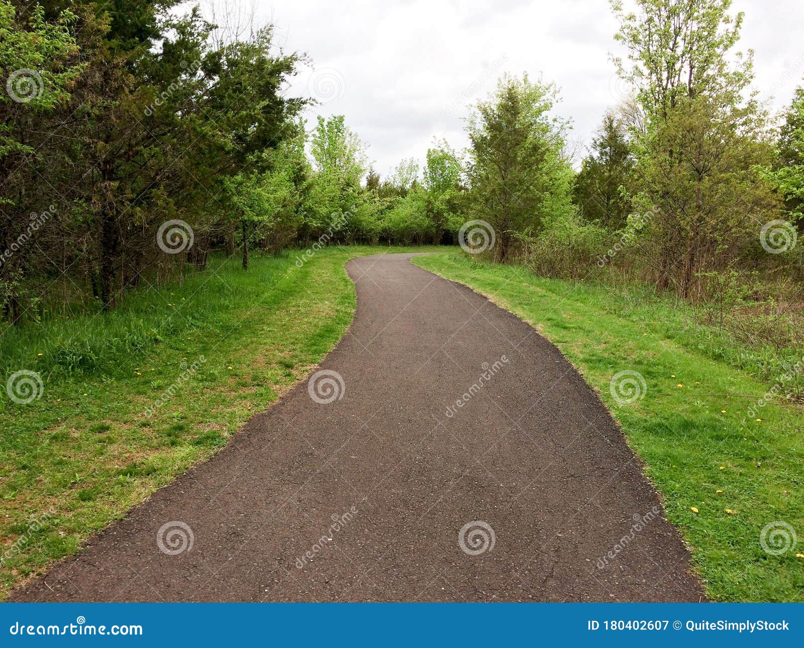Beautiful Path for Walkway in Park Stock Image - Image of morning ...