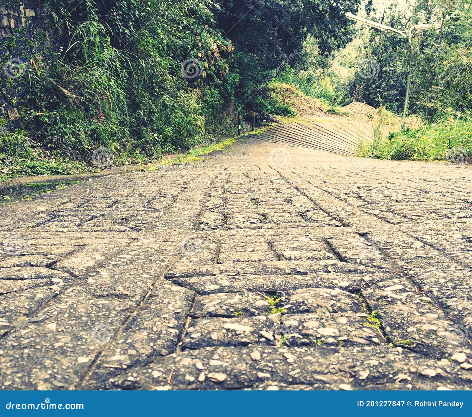 Beautiful path way stock image. Image of track, asphalt - 201227847