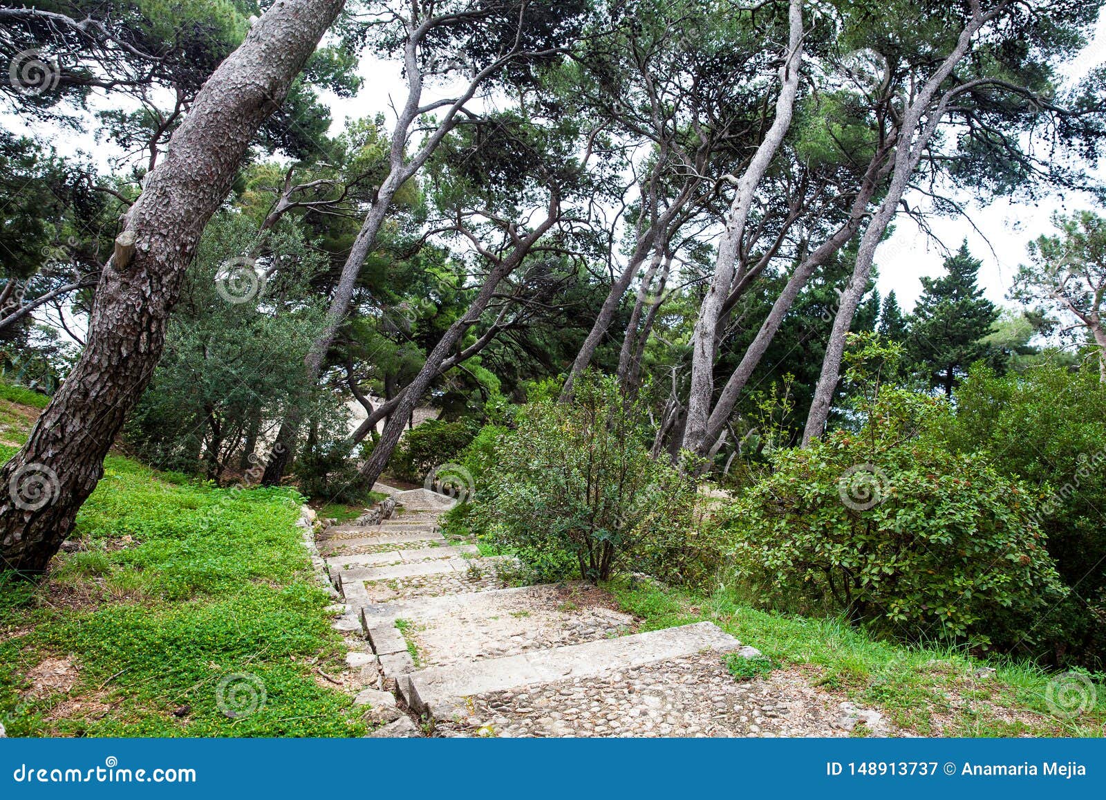 Beautiful Paths of the Gradac Park in Dubrovnik Stock Image - Image of ...