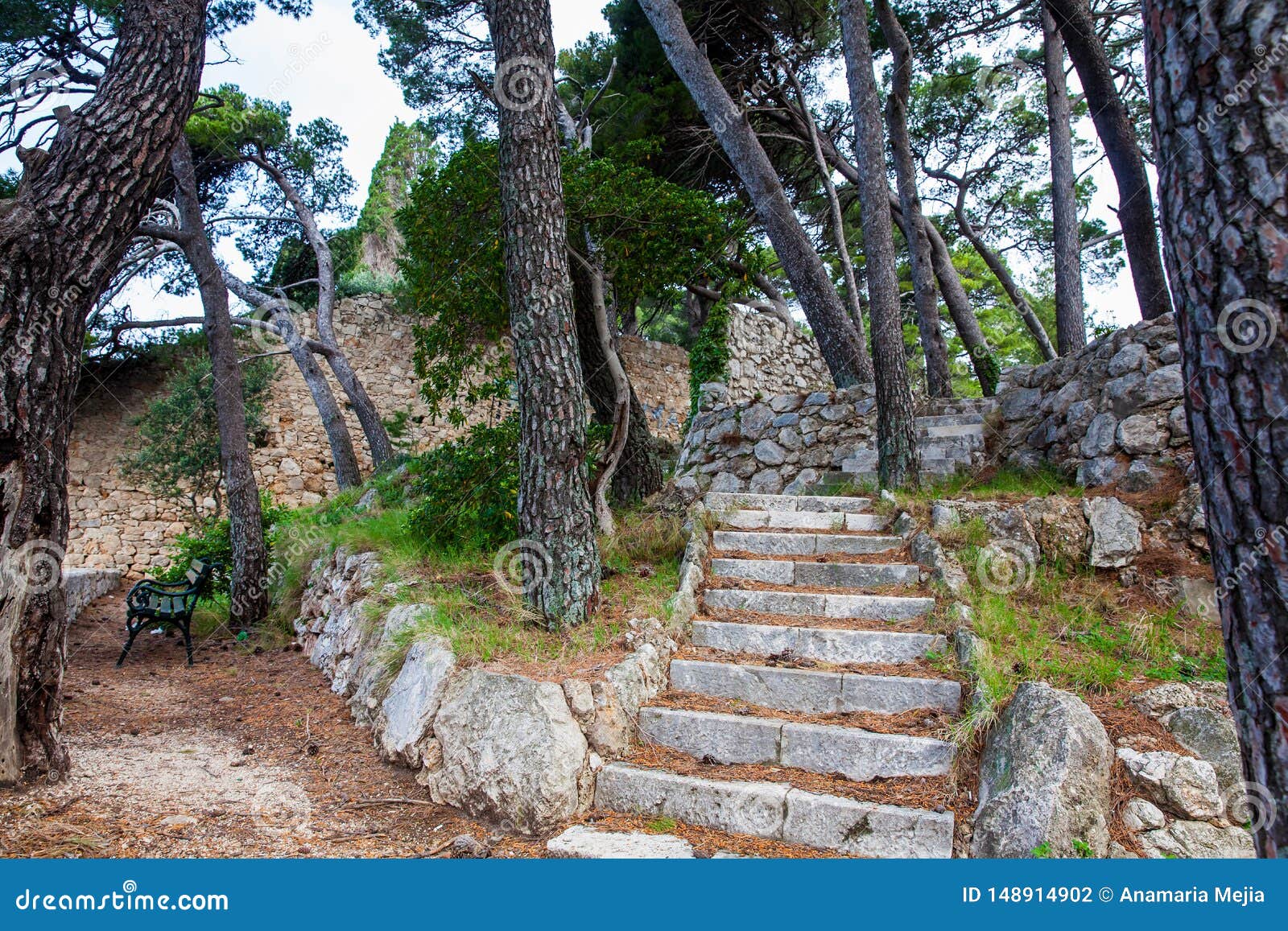 Beautiful Paths of the Gradac Park in Dubrovnik Stock Photo - Image of ...