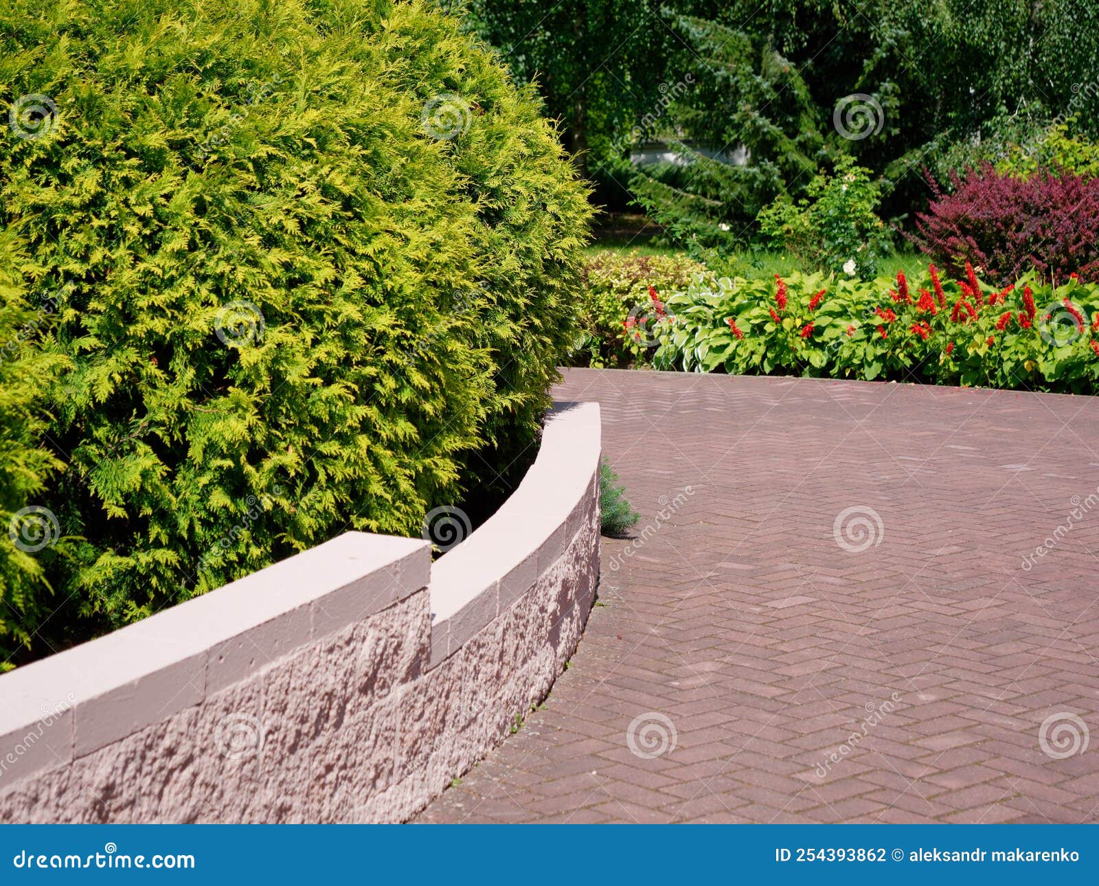 Beautiful Paths in the Green Park 2022 08 Stock Photo - Image of ...