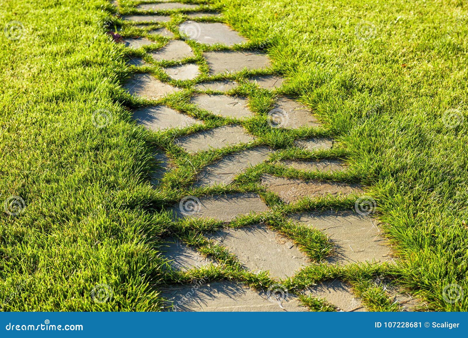 Beautiful Pathway in a Garden Stock Image - Image of pathway, summer ...
