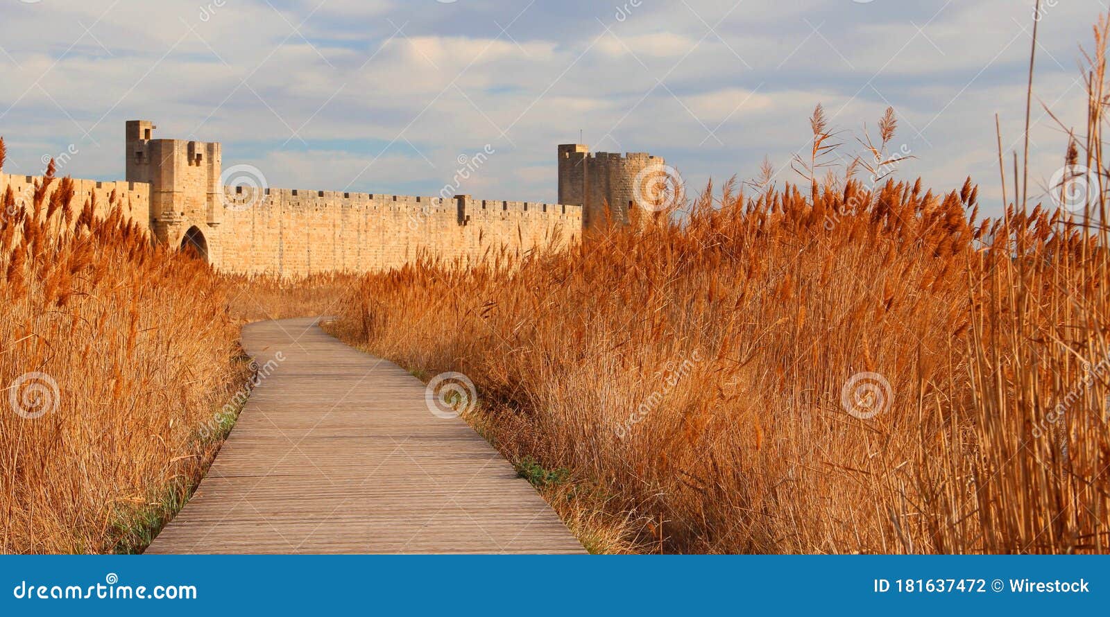 Beautiful Pathway Going To a Castle Surrounded by Beautiful Field Stock ...