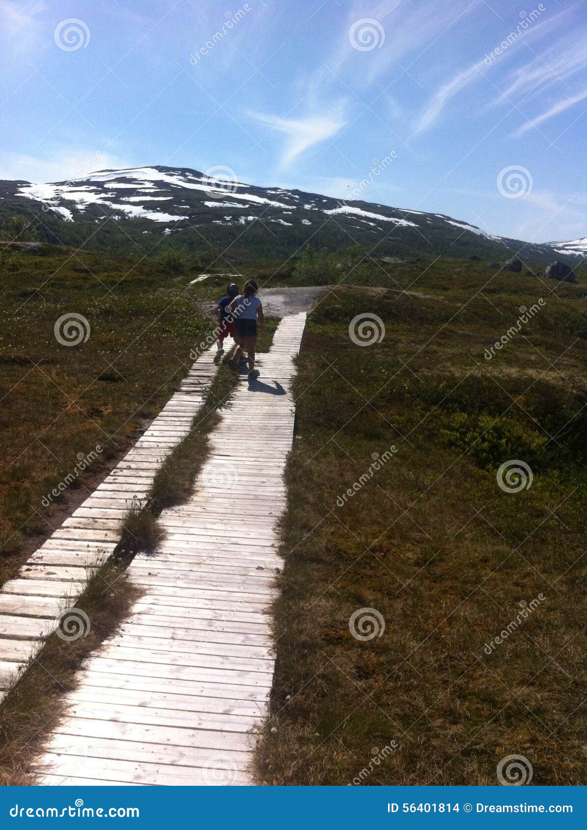 A Beautiful Pathway In The Middle Of The Mountain At Mussoorie ...