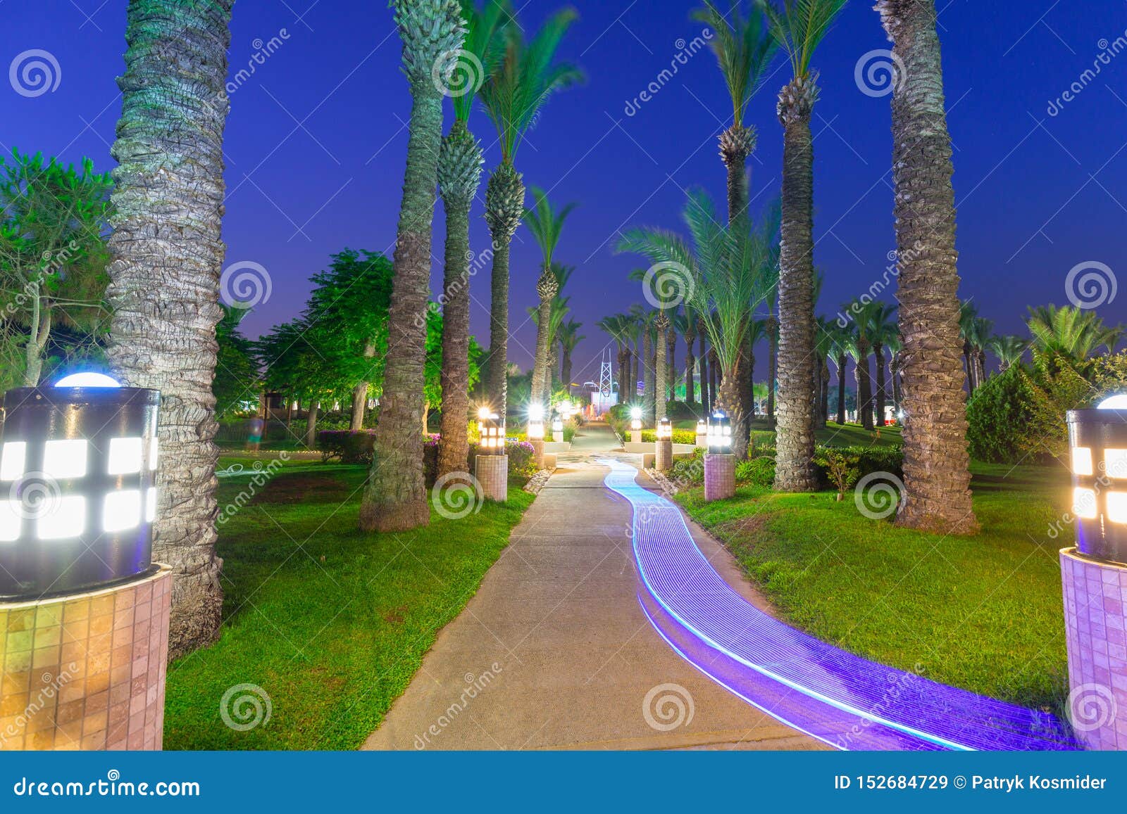 Beautiful Pathway with Palm Trees at the Beach of Turkey Stock Image ...