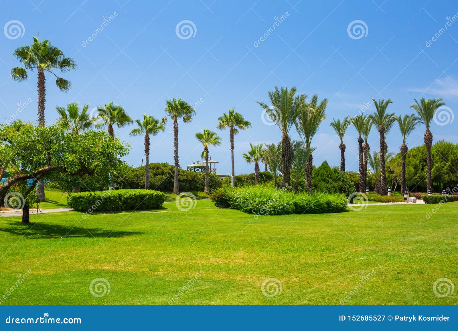 Beautiful Pathway with Palm Trees at the Beach of Turkey Stock Image ...
