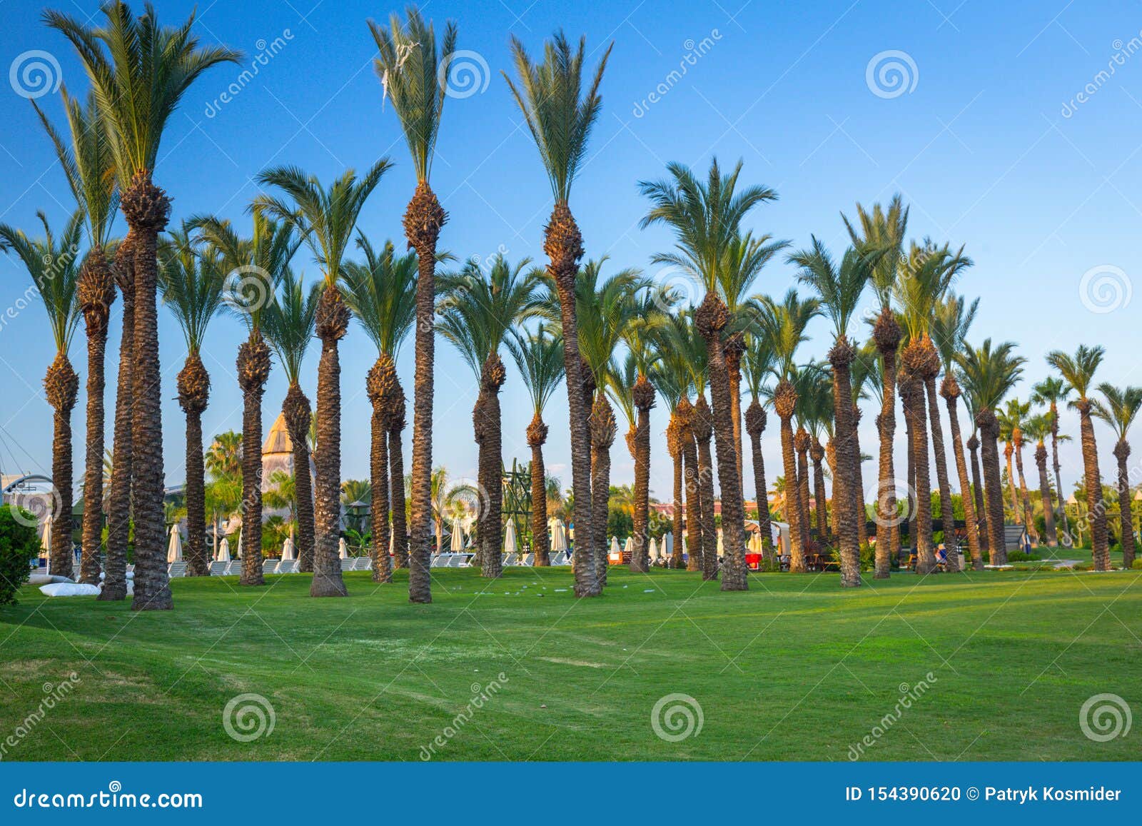 Beautiful Pathway with Palm Trees at the Beach of Turkey Stock Photo ...