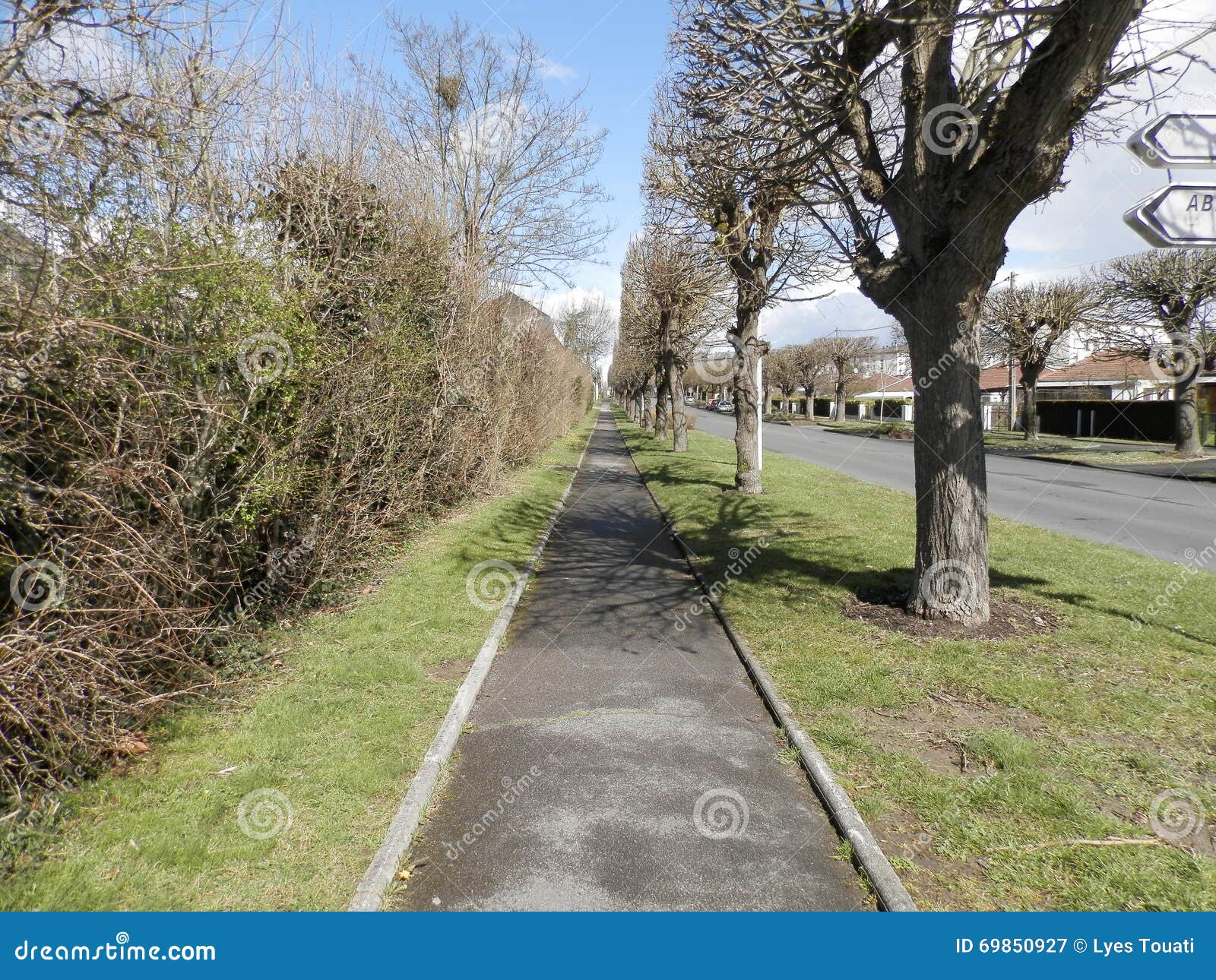 Beautiful pathway stock image. Image of blurred, trees - 69850927