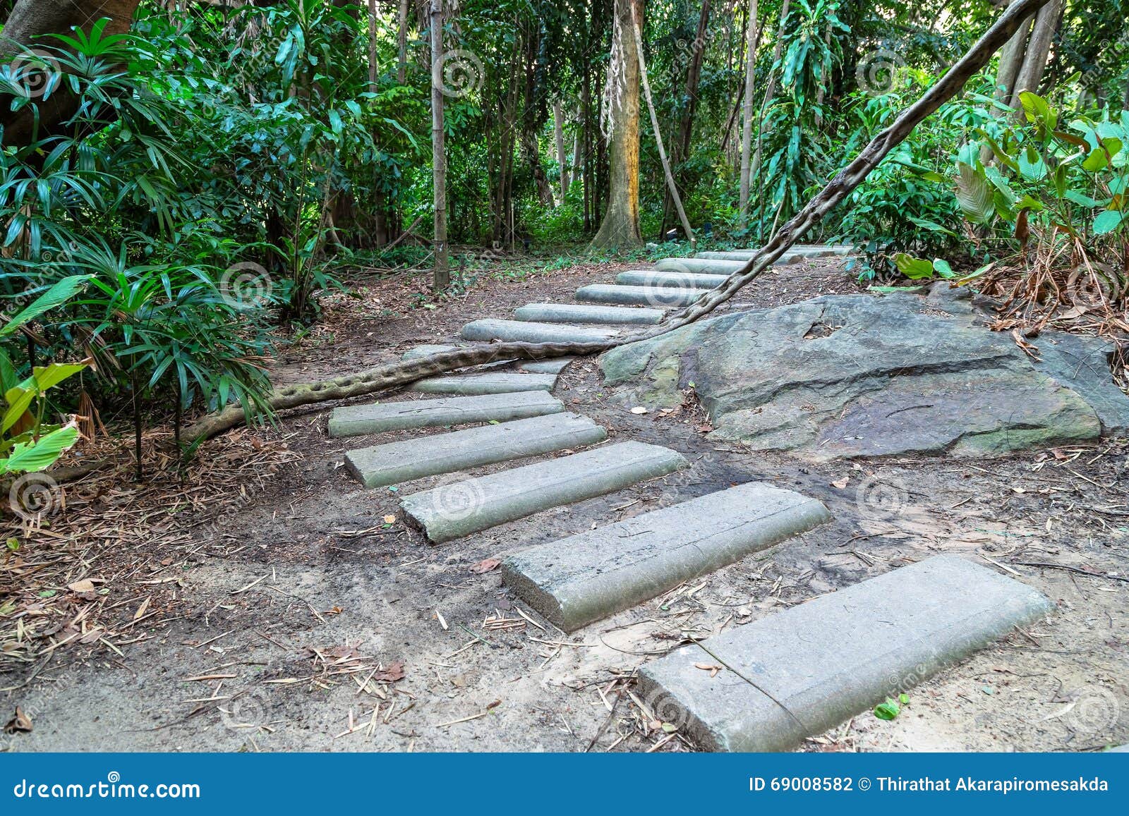 Beautiful Pathway in Public Park Stock Photo - Image of path, foot ...