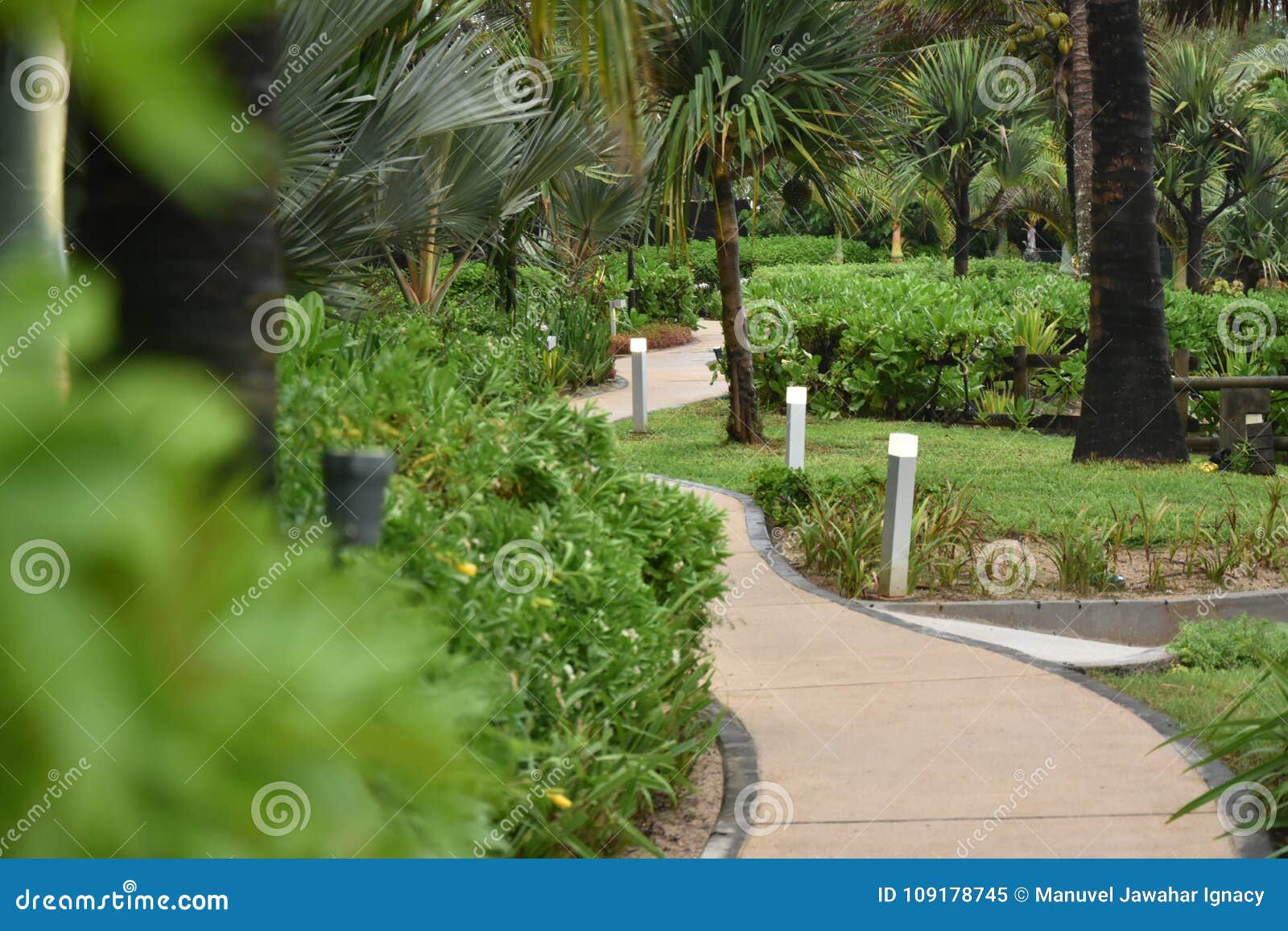 Beautiful pathway stock image. Image of pathway, garden - 109178745