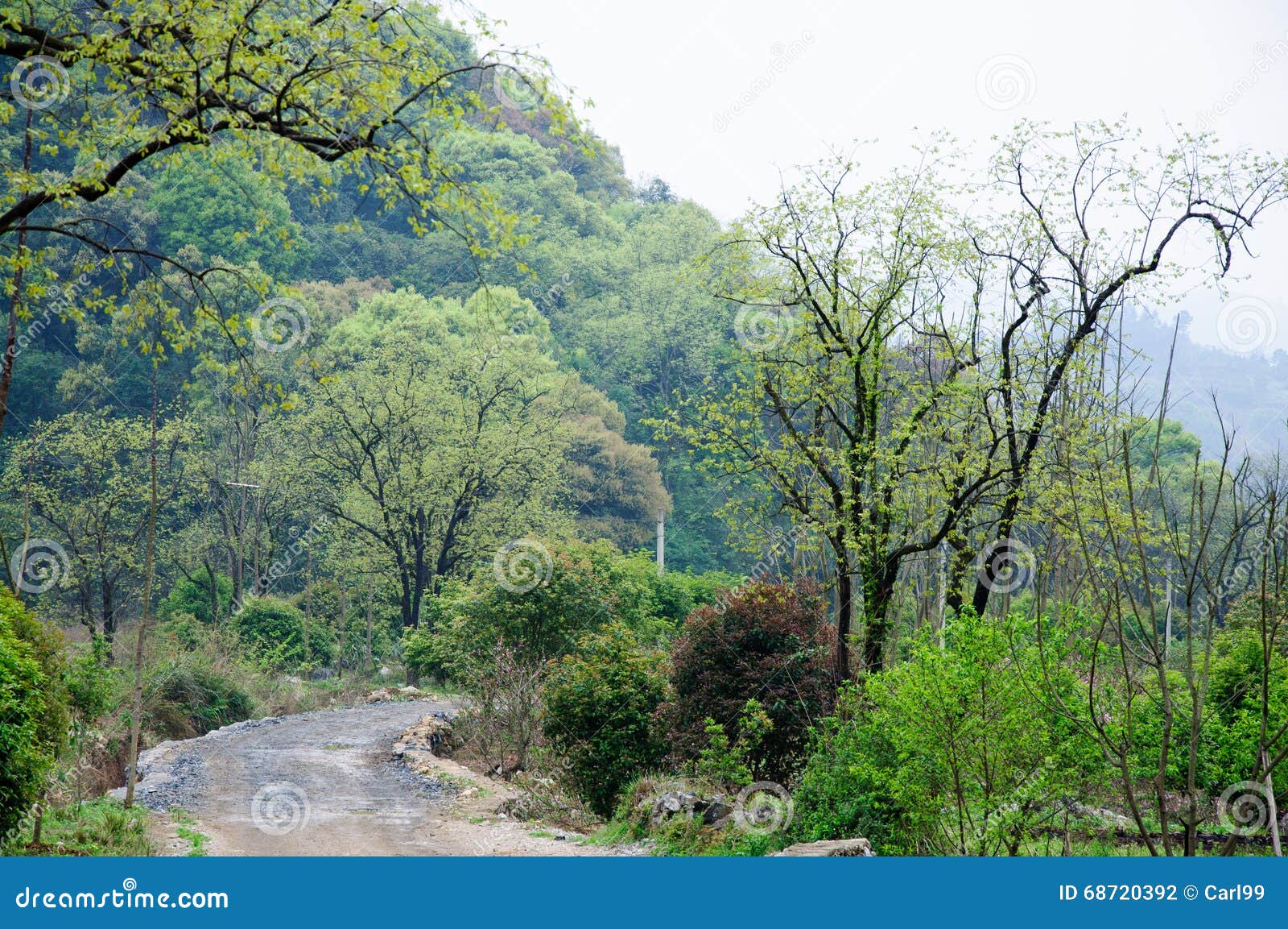 The Beautiful Pathway Scenery Stock Photo - Image of ghat, sidewalk ...