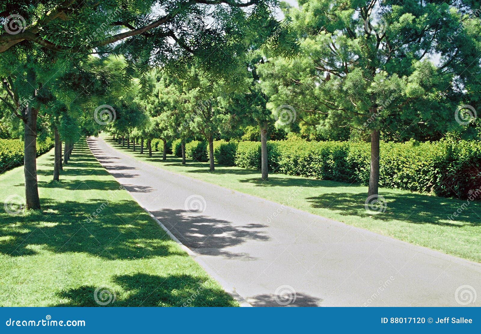 Beautiful pathway stock photo. Image of walkway, pathway - 88017120