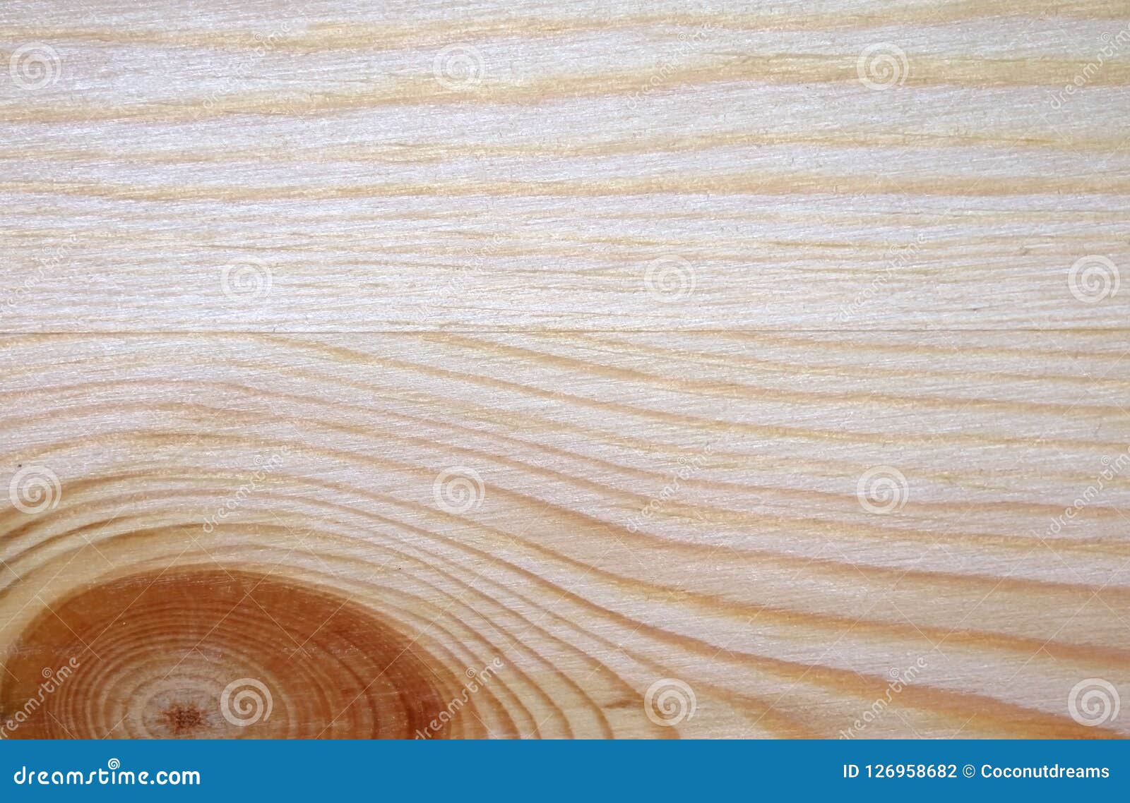 Beautiful Pattern of a Natural Light Brown Wood Plank, Top View for ...