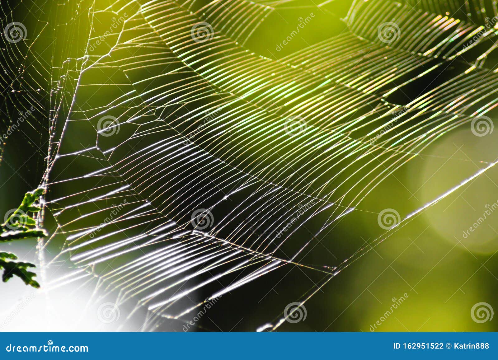 Beautiful Pattern of Spider`s Web Background Stock Photo - Image of glare, horror: 162951522