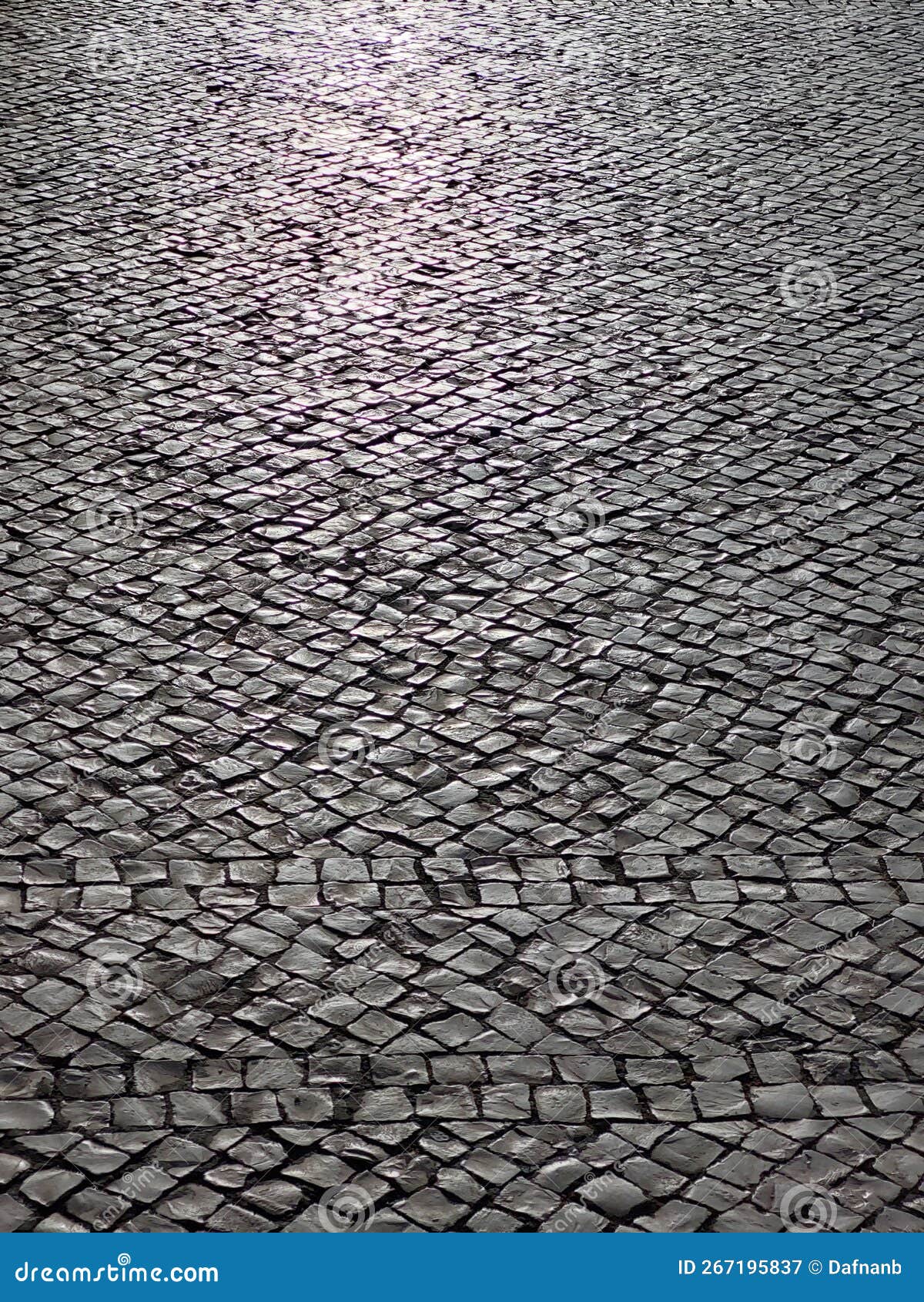 A Fragment of the Street Paved with Square Marble Stones Stock Image ...
