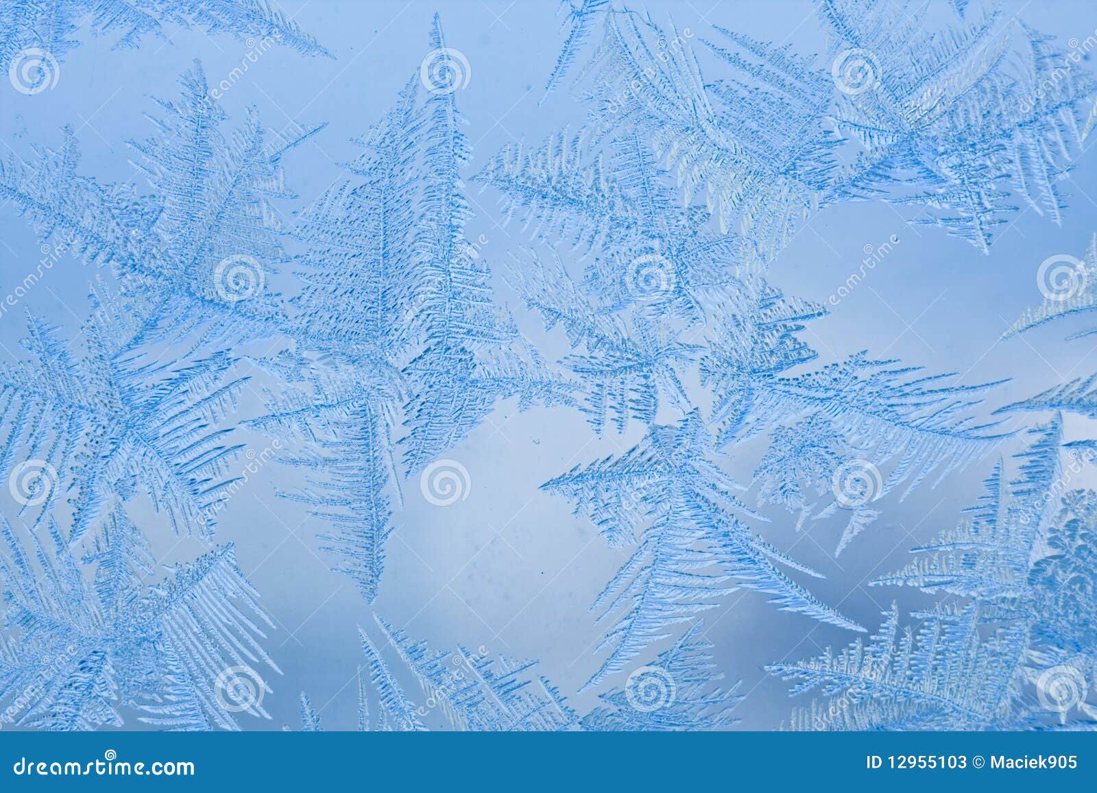 Beautiful Patterns on a Frozen Glass Stock Image - Image of pattern ...