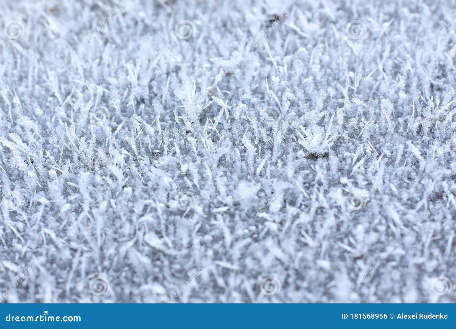 Beautiful Patterns of Hoarfrost Stock Photo - Image of hoarfrost ...