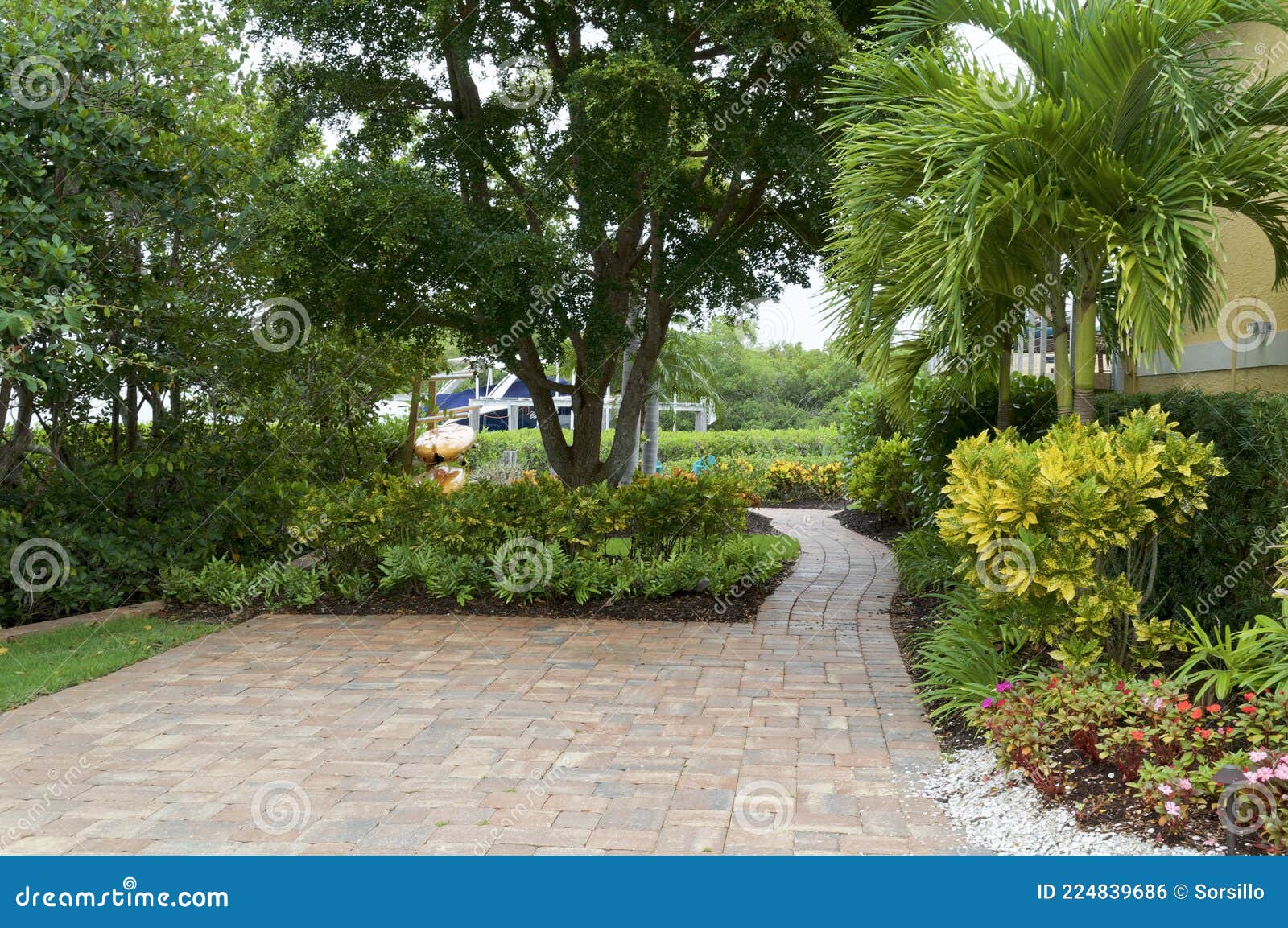 Beautiful Paved Florida Walkway Stock Photo - Image of outdoors, plants ...