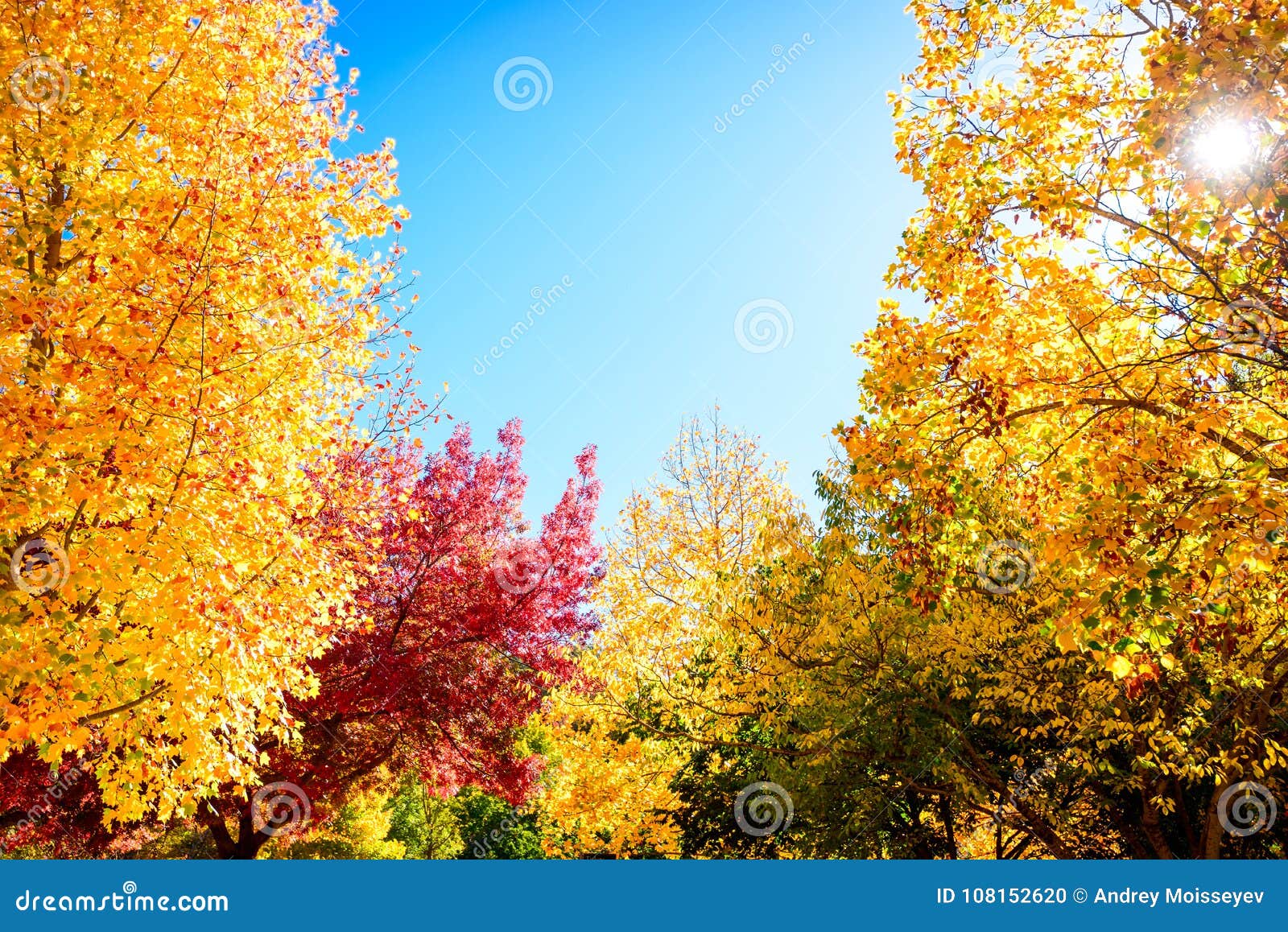 Beautiful Peaceful Autumn Scene in Mount Lofty Stock Photo - Image of ...