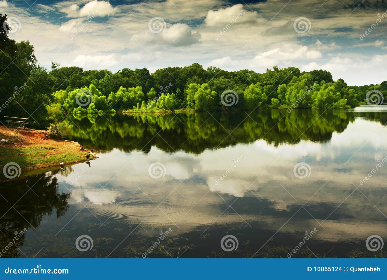 A Beautiful and Peaceful Lake Stock Photo - Image of lake, park: 10065124